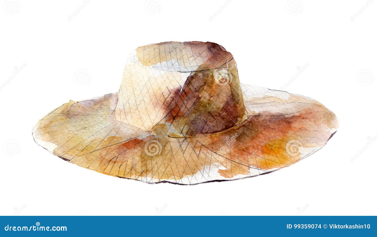 Watercolor Hick Stock Illustrations – 7 Watercolor Hick Stock ...