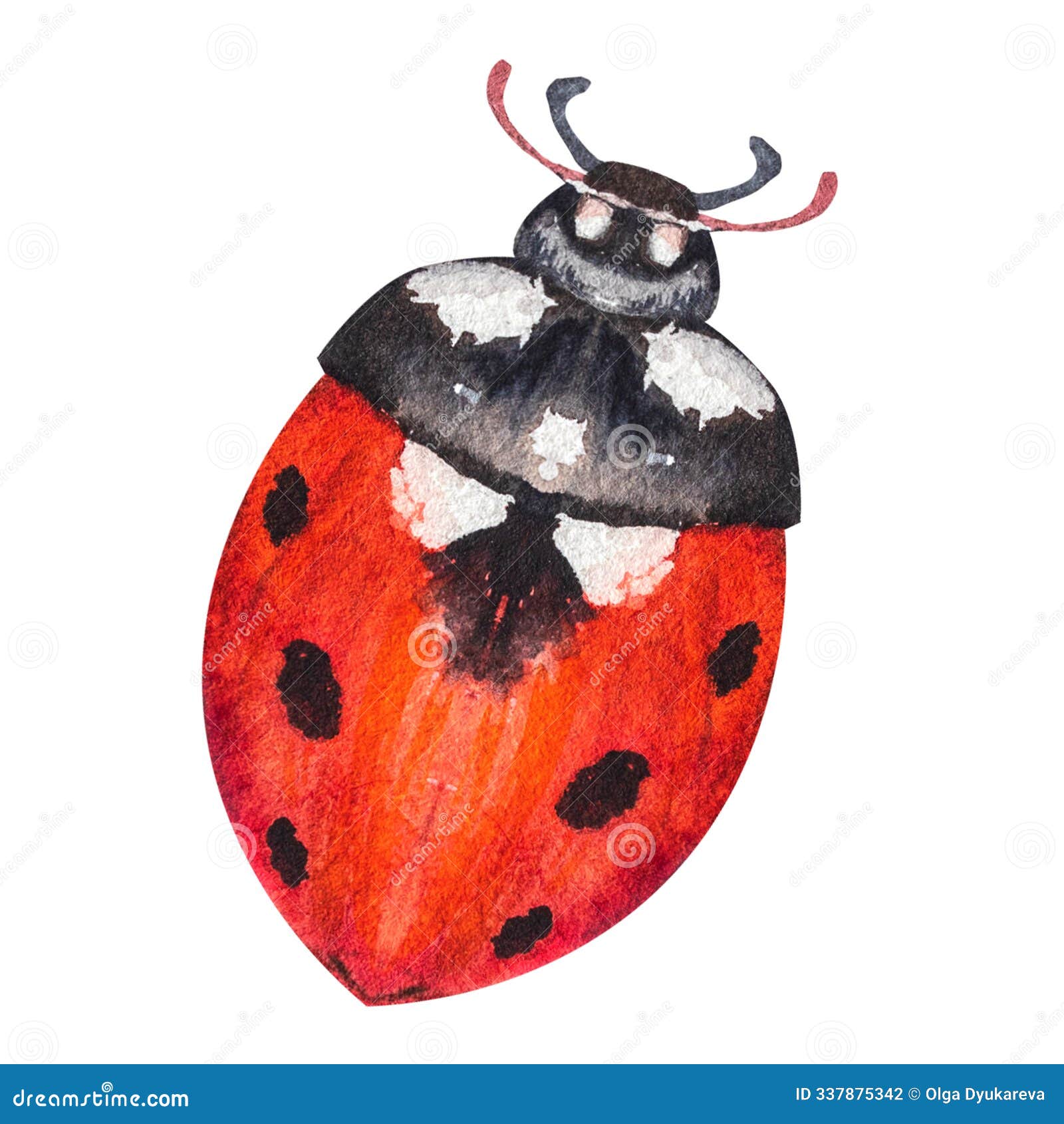 Watercolor Illustration Ladybug.Hand Drawn Watercolor Ladybug Stock ...