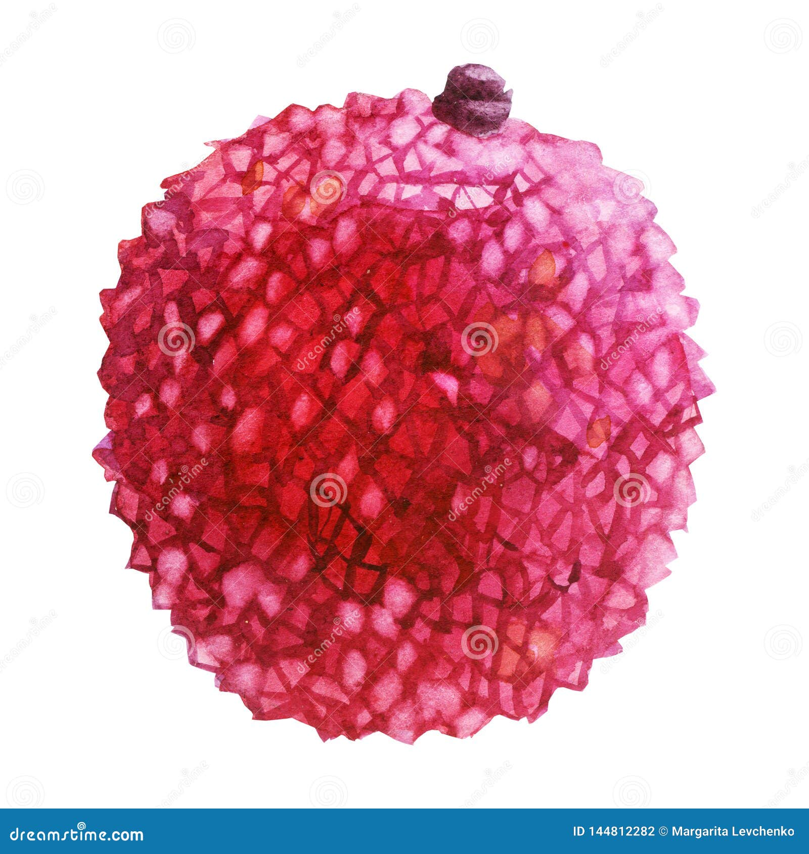 Litchi Fruit Drawing, Lychee. Watercolor Litchi On A White Background ...