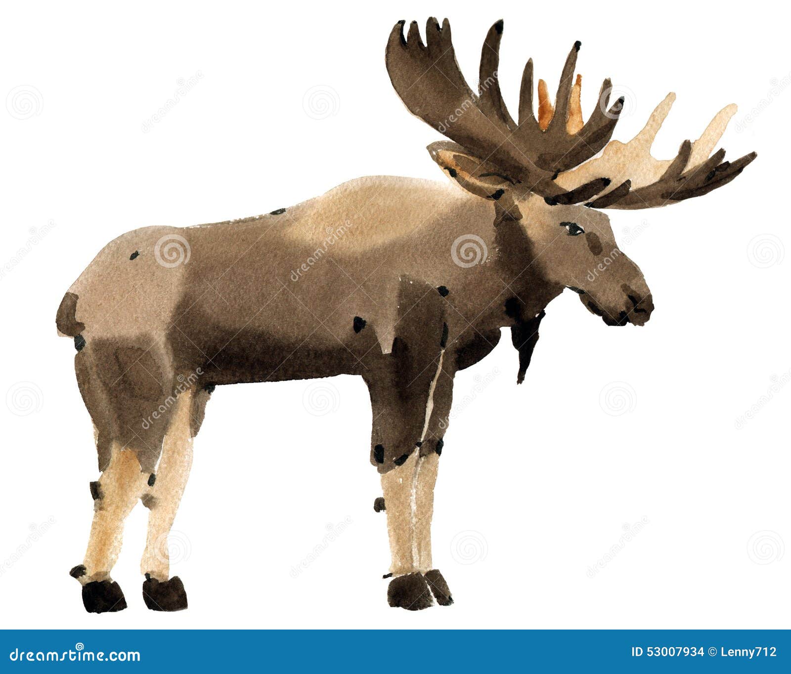 Watercolor Illustration of a Moose Stock Illustration - Illustration of ...