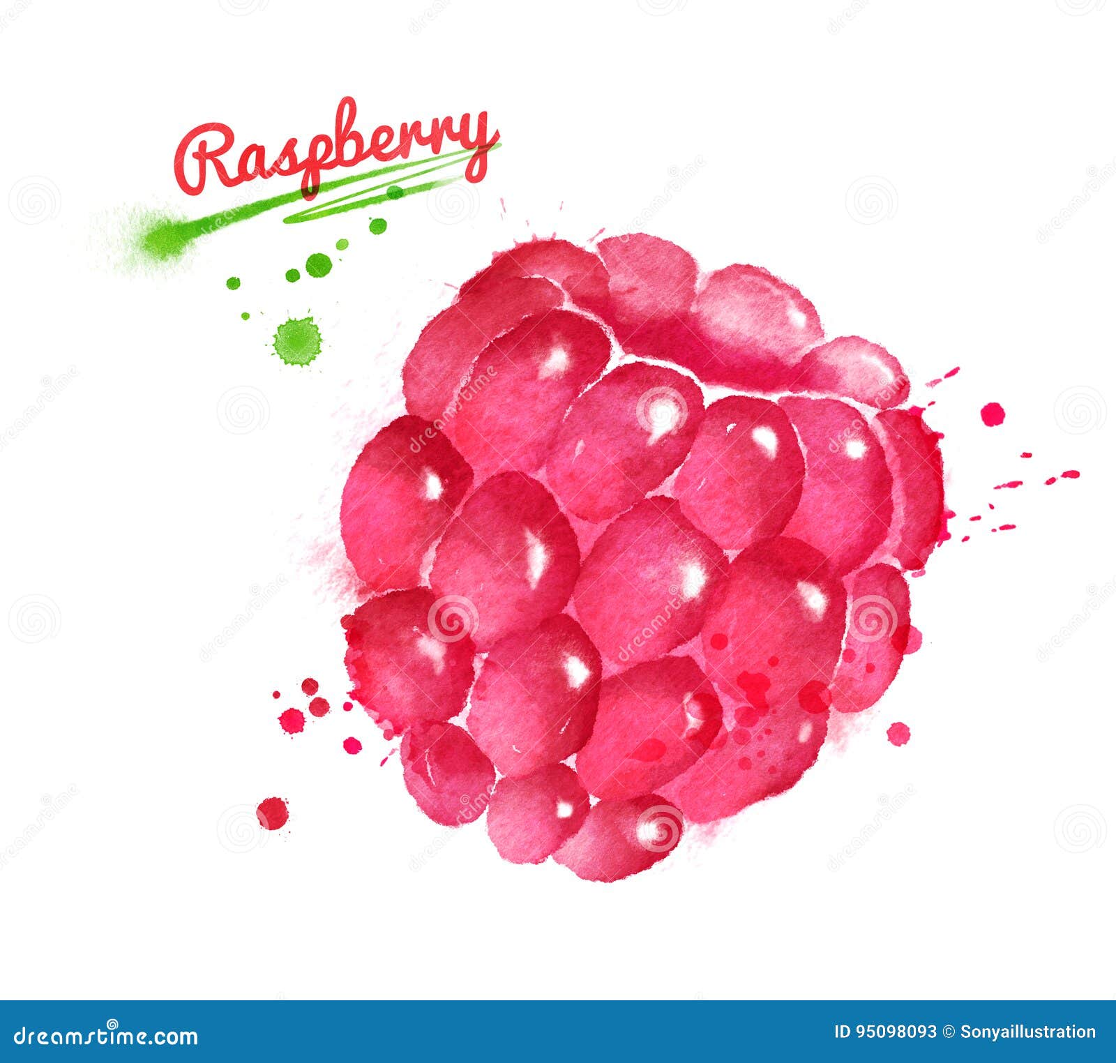 Watercolor Illustration of Raspberry Stock Illustration - Illustration ...