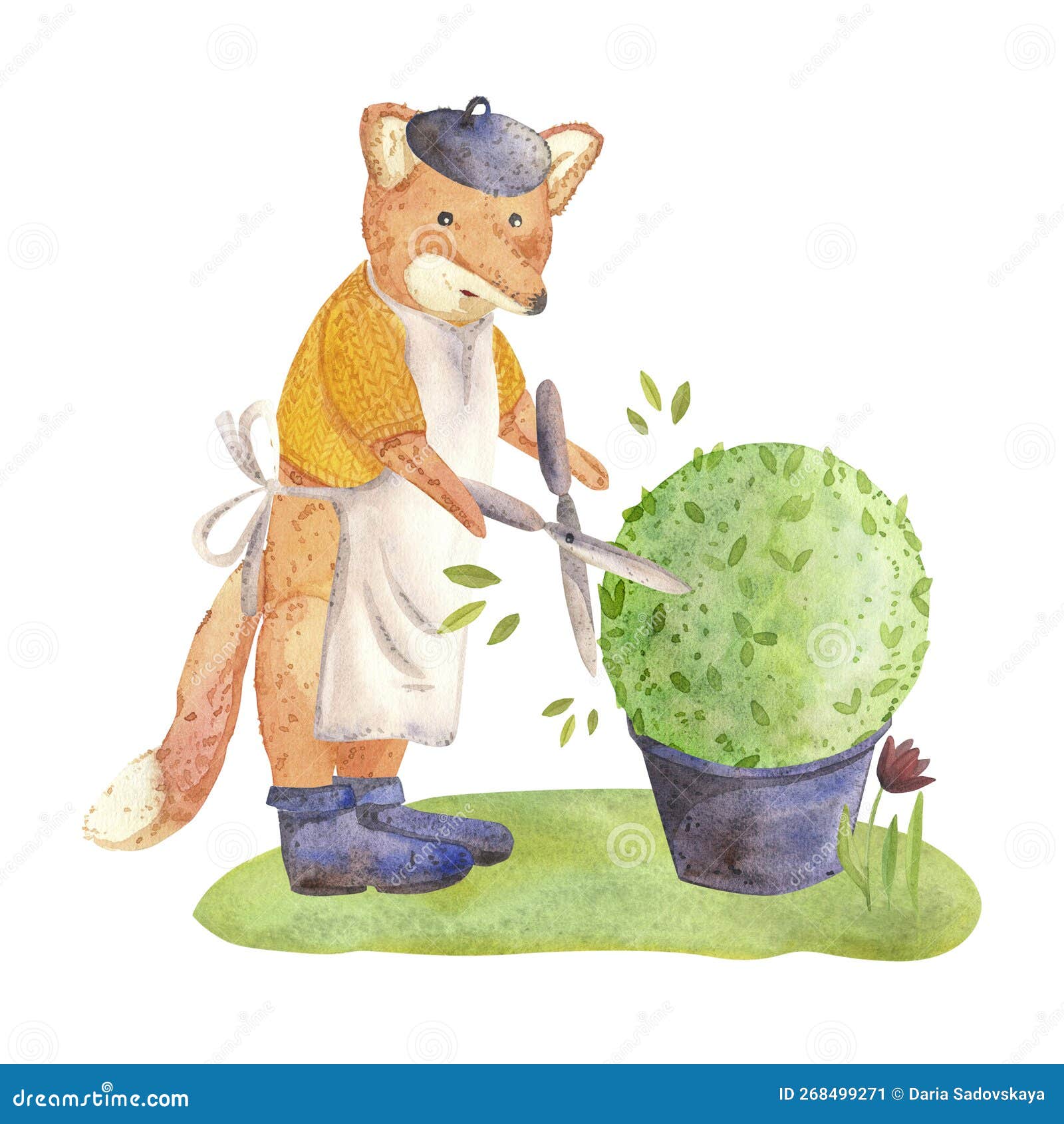 Watercolor Illustration of a Red Fox in an Apron, Boots and a Beret ...