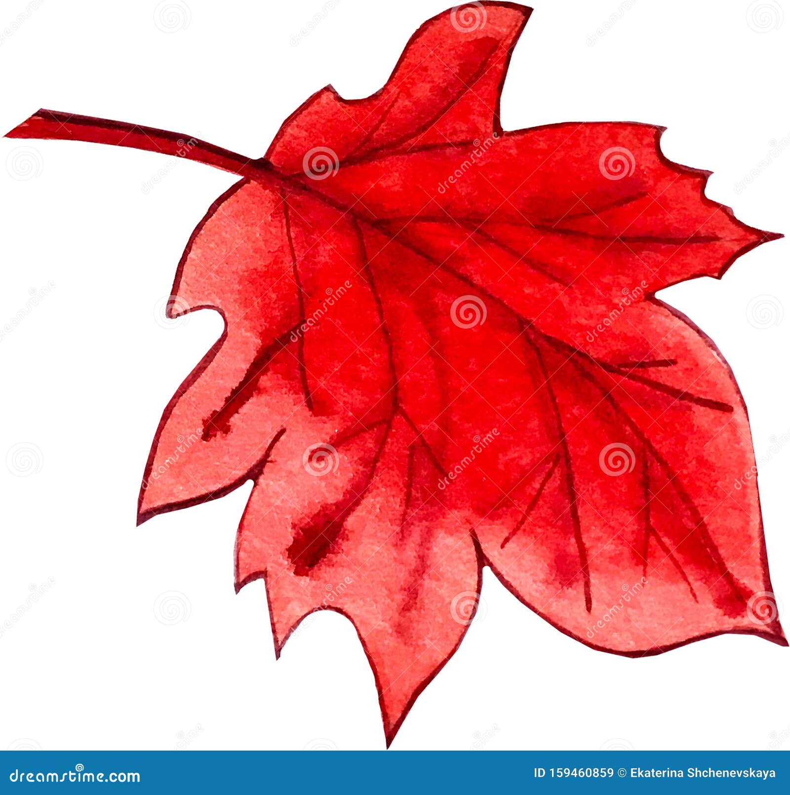 Watercolor Illustration. Red Maple Leaf Stock Illustration ...