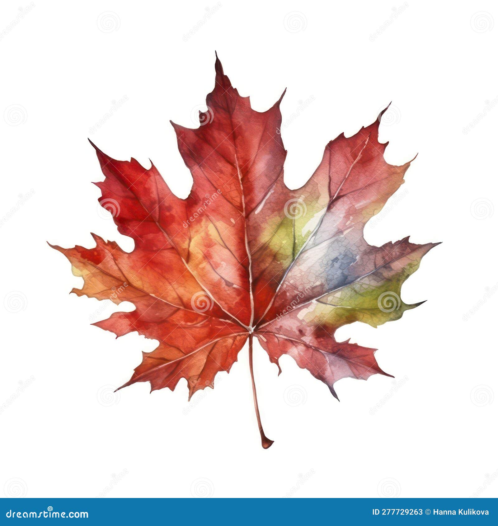 Watercolor red maple leaf. stock illustration. Illustration of symbol ...