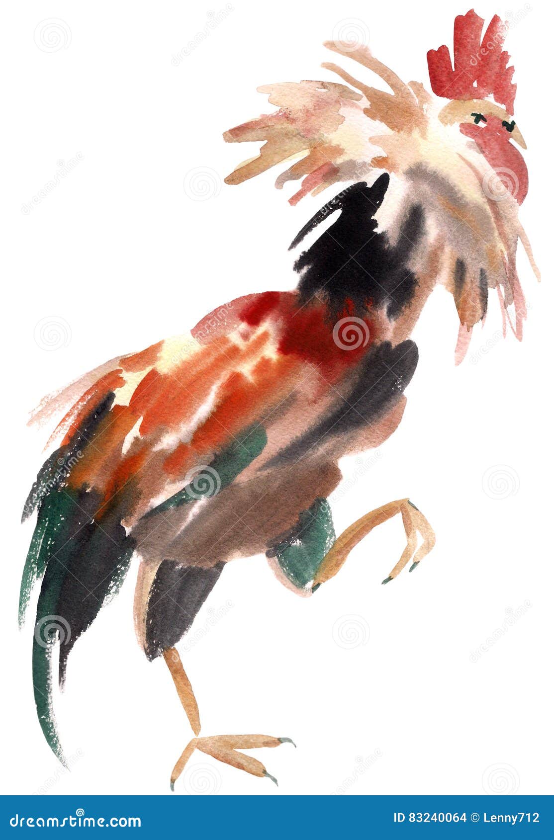 Watercolor Illustration of a Rooster in White Background. Stock ...