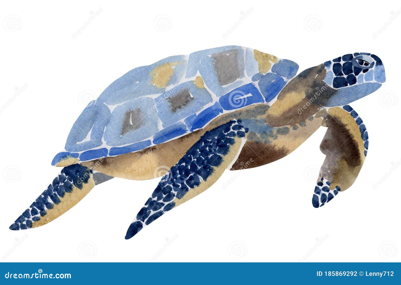 Watercolor Illustration Of A Sea Turtle In White Background. Royalty ...