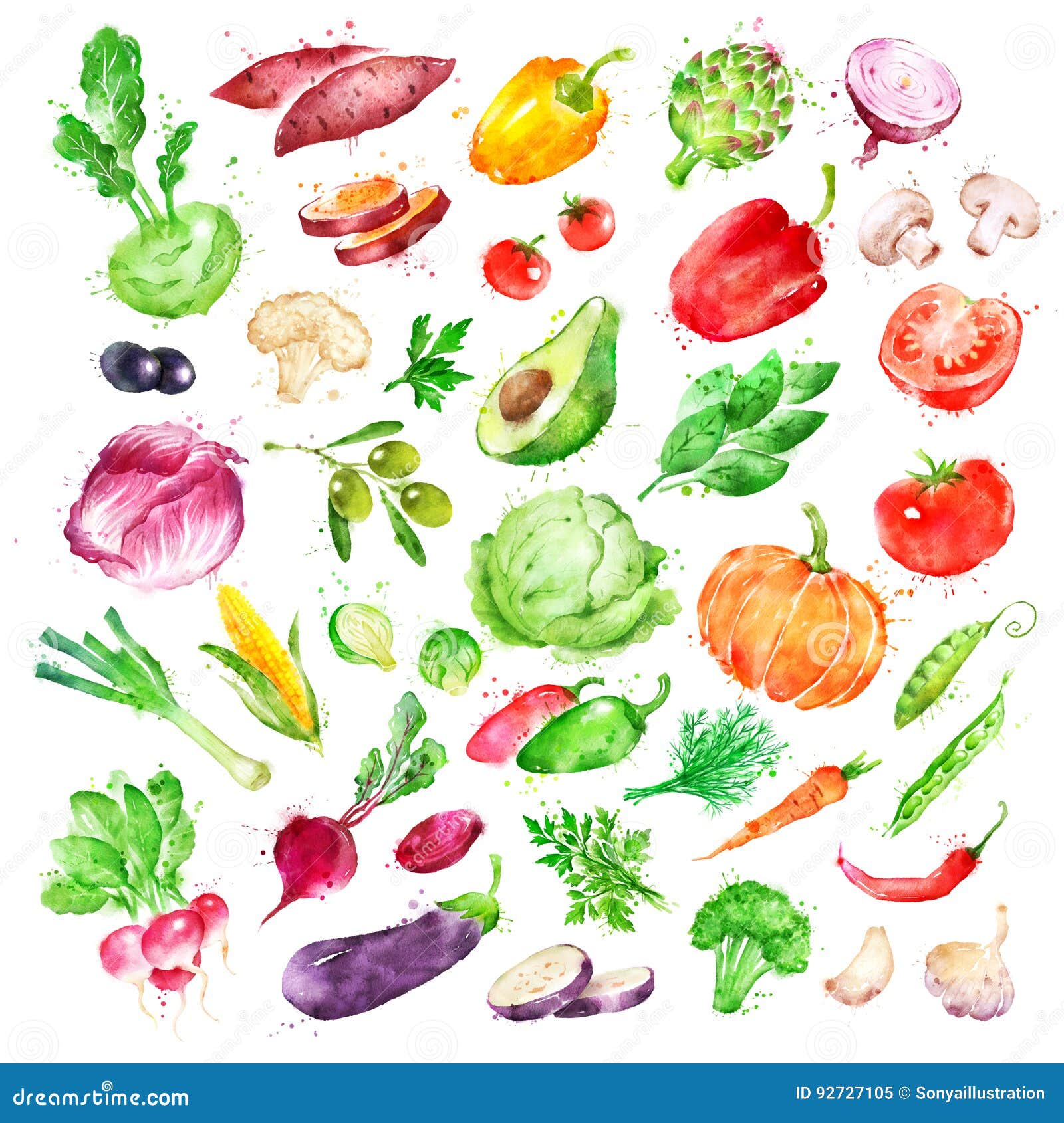 Watercolor Illustration Set of Vegetables Stock Illustration ...