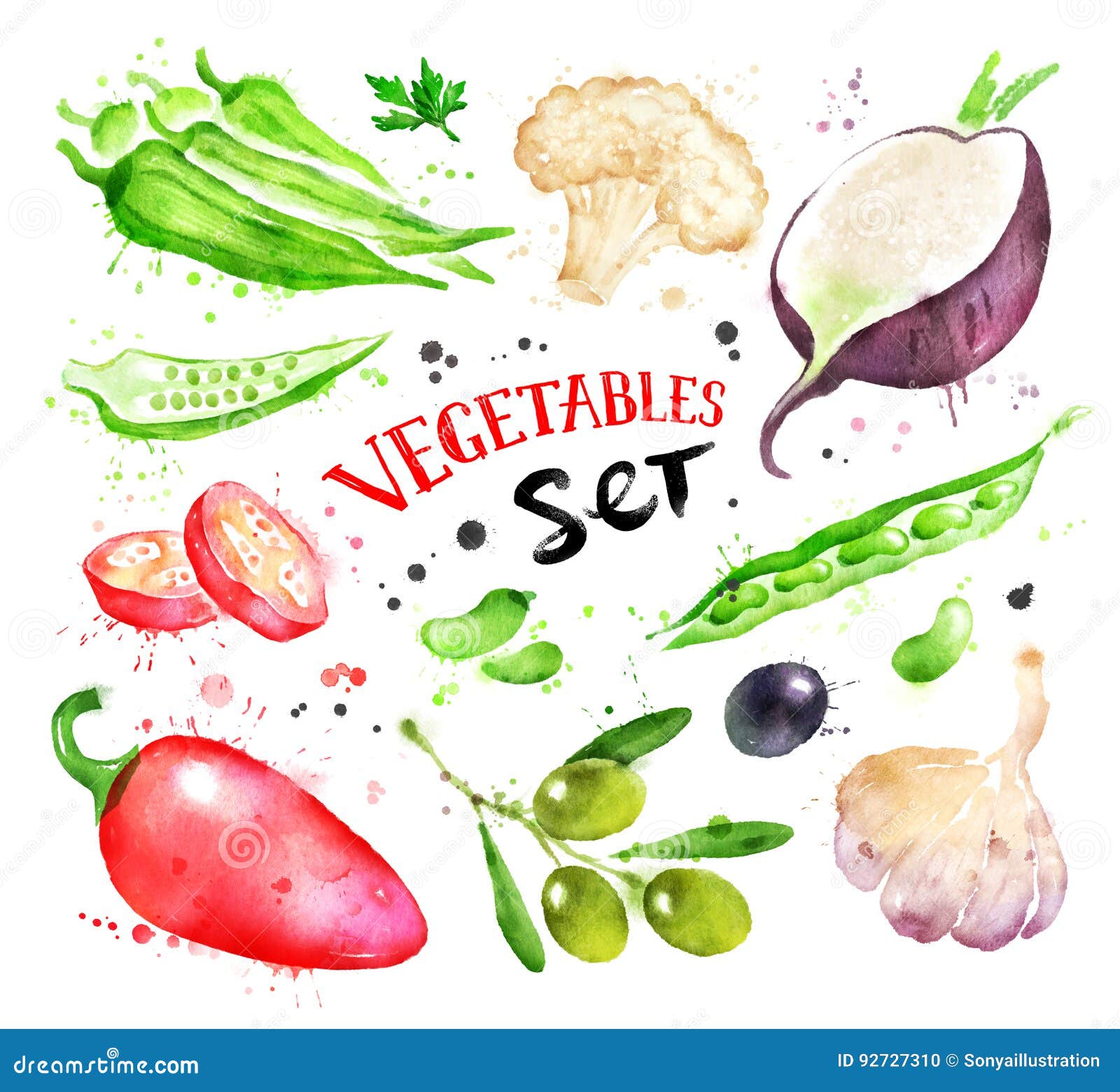 Watercolor Illustration Set of Vegetables Stock Illustration ...
