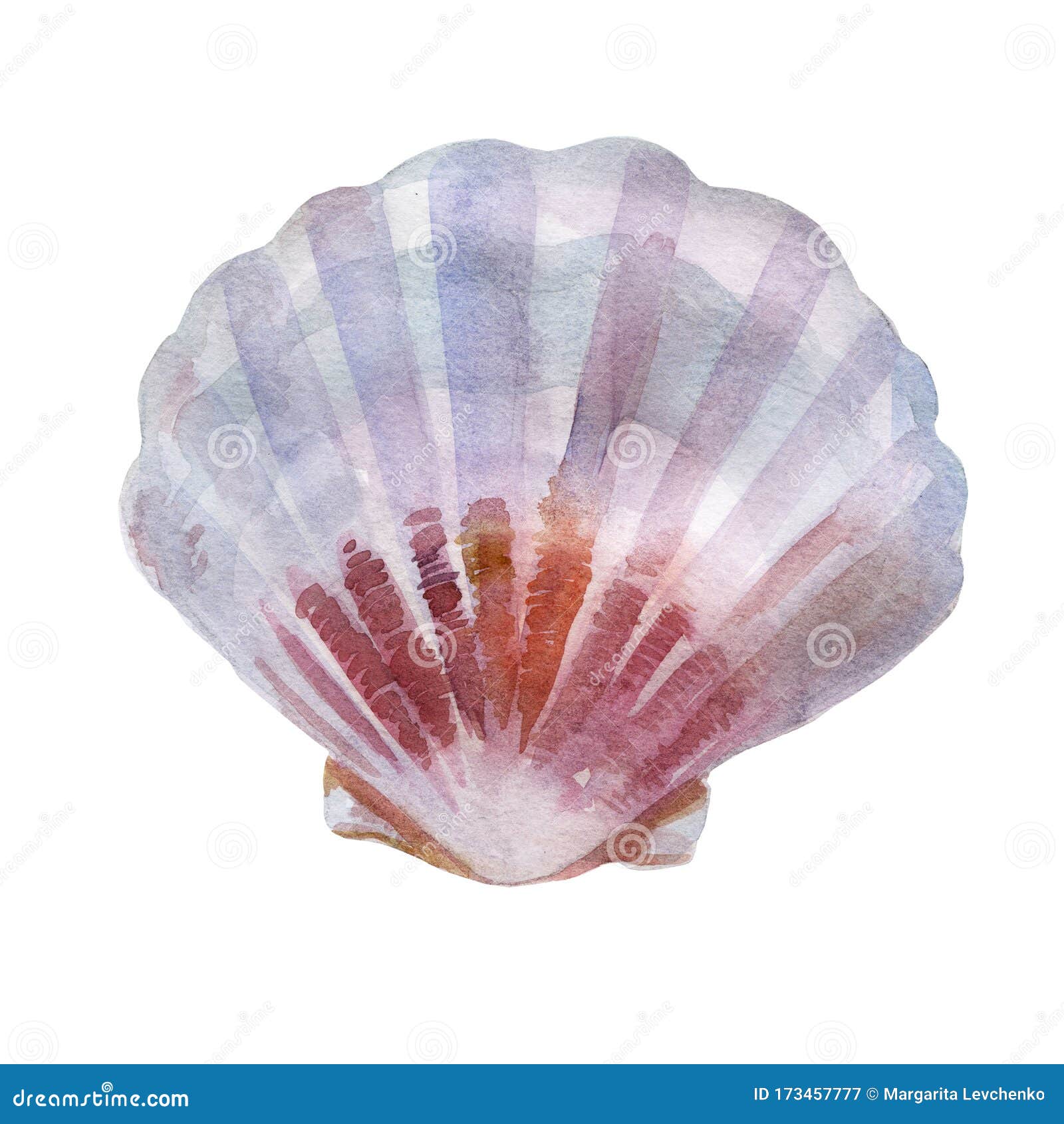Watercolor Shell Set Collection Of Underwater And Sea Tropical ...