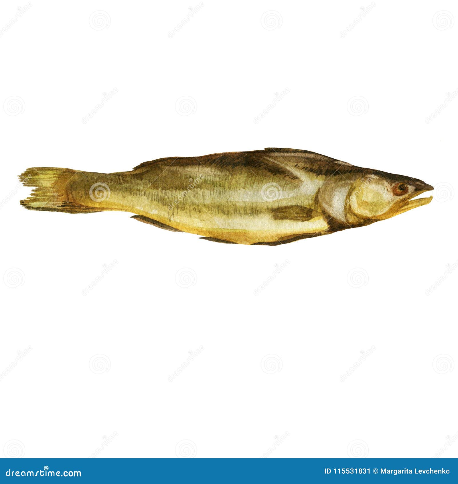 Watercolor Illustration. Smoked Dried Fish of Different Types. Stock ...