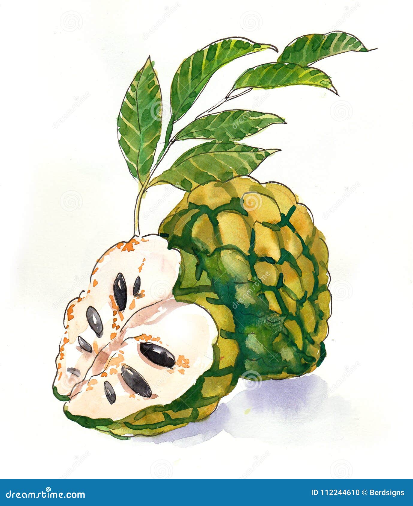 Soursop Cartoons, Illustrations & Vector Stock Images - 175 Pictures to ...