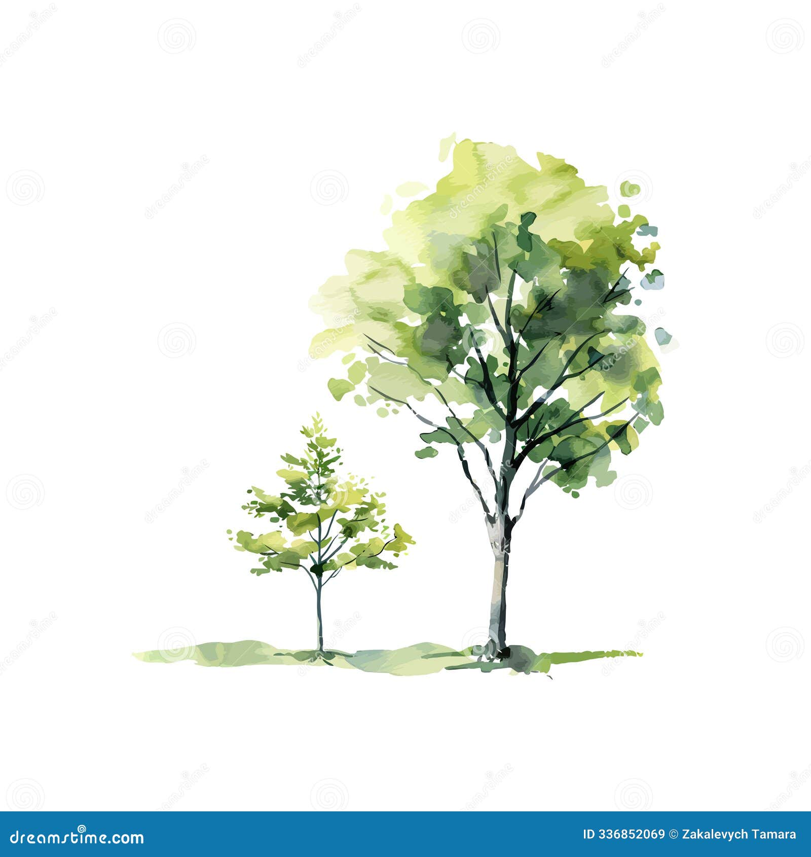 Watercolor Illustration of Two Green Trees. Vector Illustration Design ...