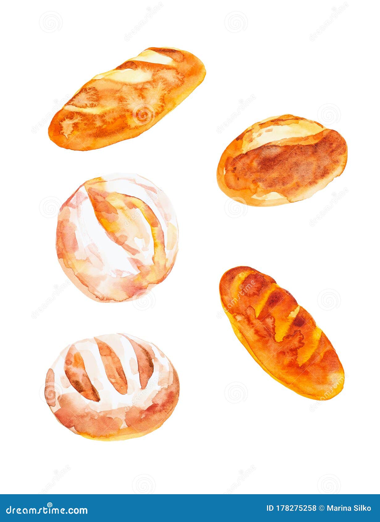 Watercolor Illustration of Various Rolls and Bread. Isolated on a White ...