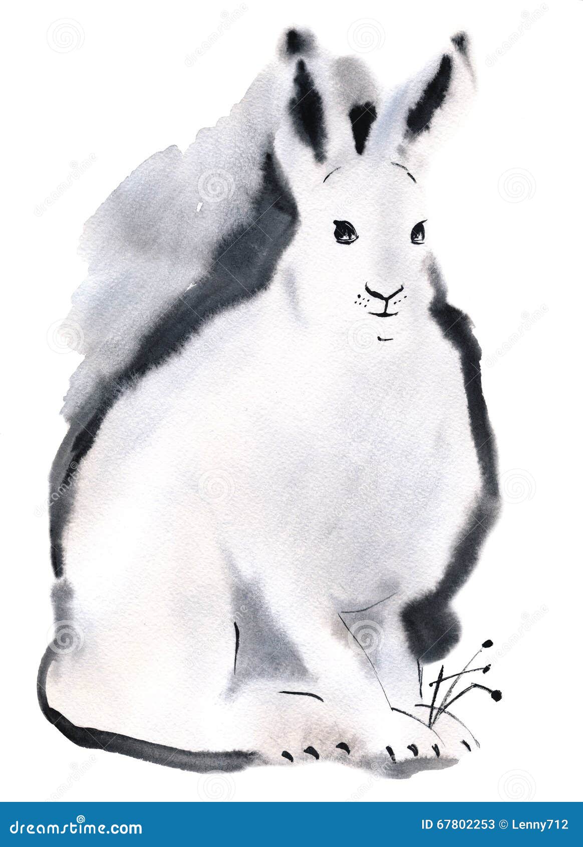 Watercolor Illustration of a White Rabbit Stock Illustration ...
