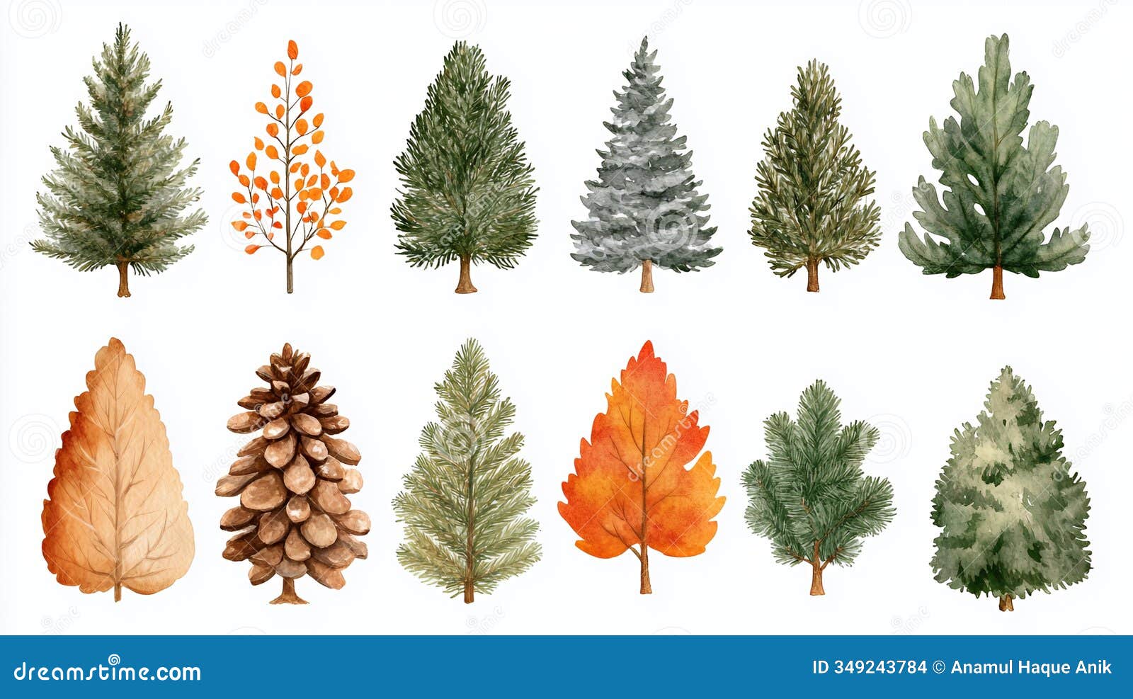 Watercolor Illustrations of Various Tree Types Including Pine Trees ...