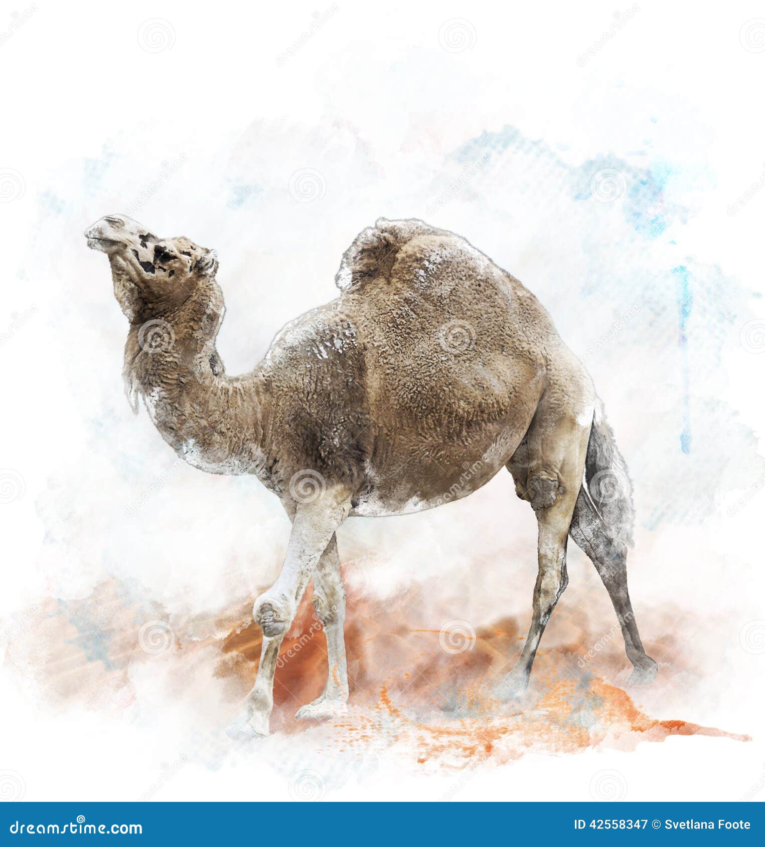 Camel One-humped Vector Silhouette Black | CartoonDealer.com #274675904