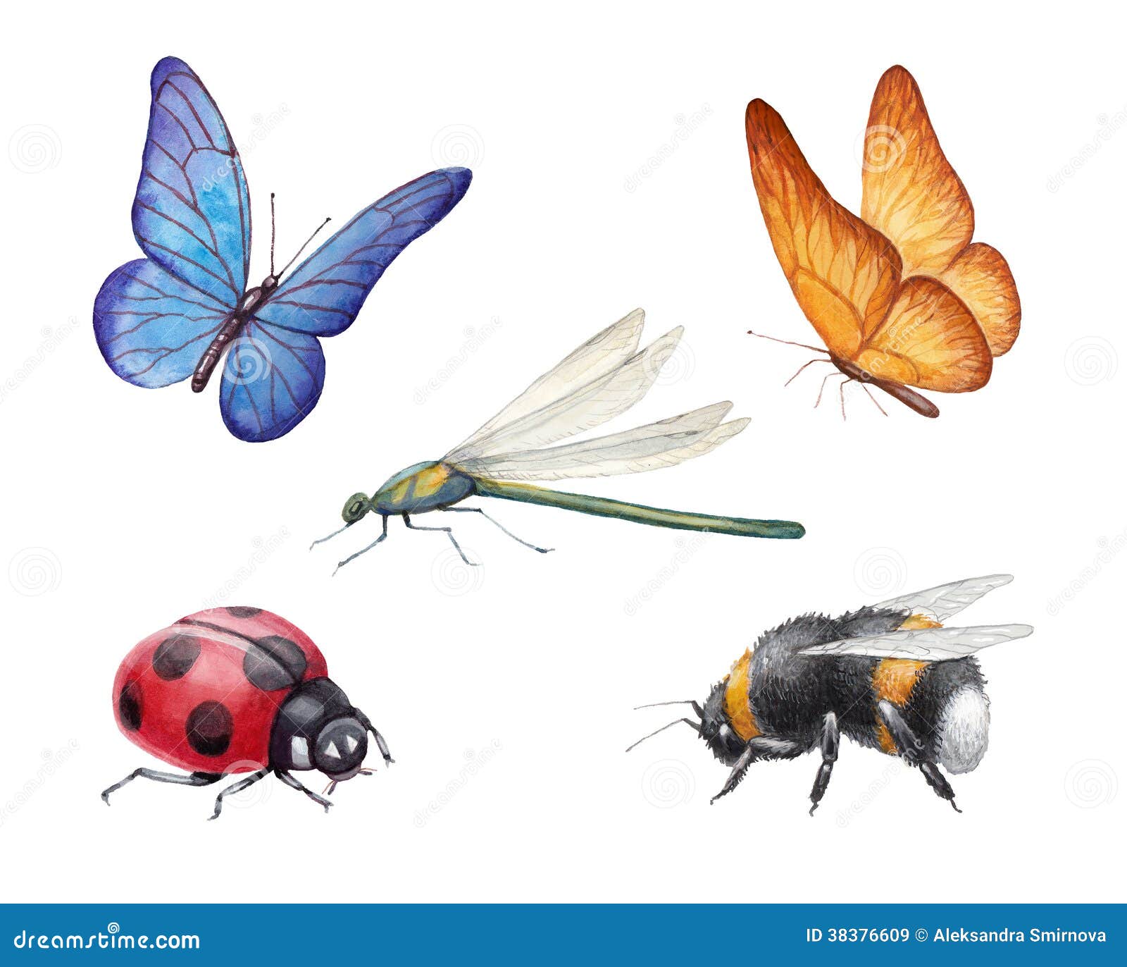 Watercolor Set Of Insects, Ladybugs, Bedbugs, Beetles With Leaves On A ...