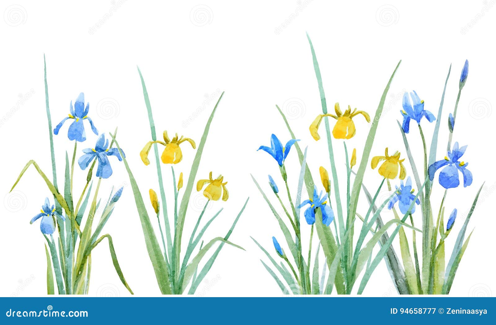 Watercolor Iris Flowers Vector Composition Stock Vector - Illustration ...