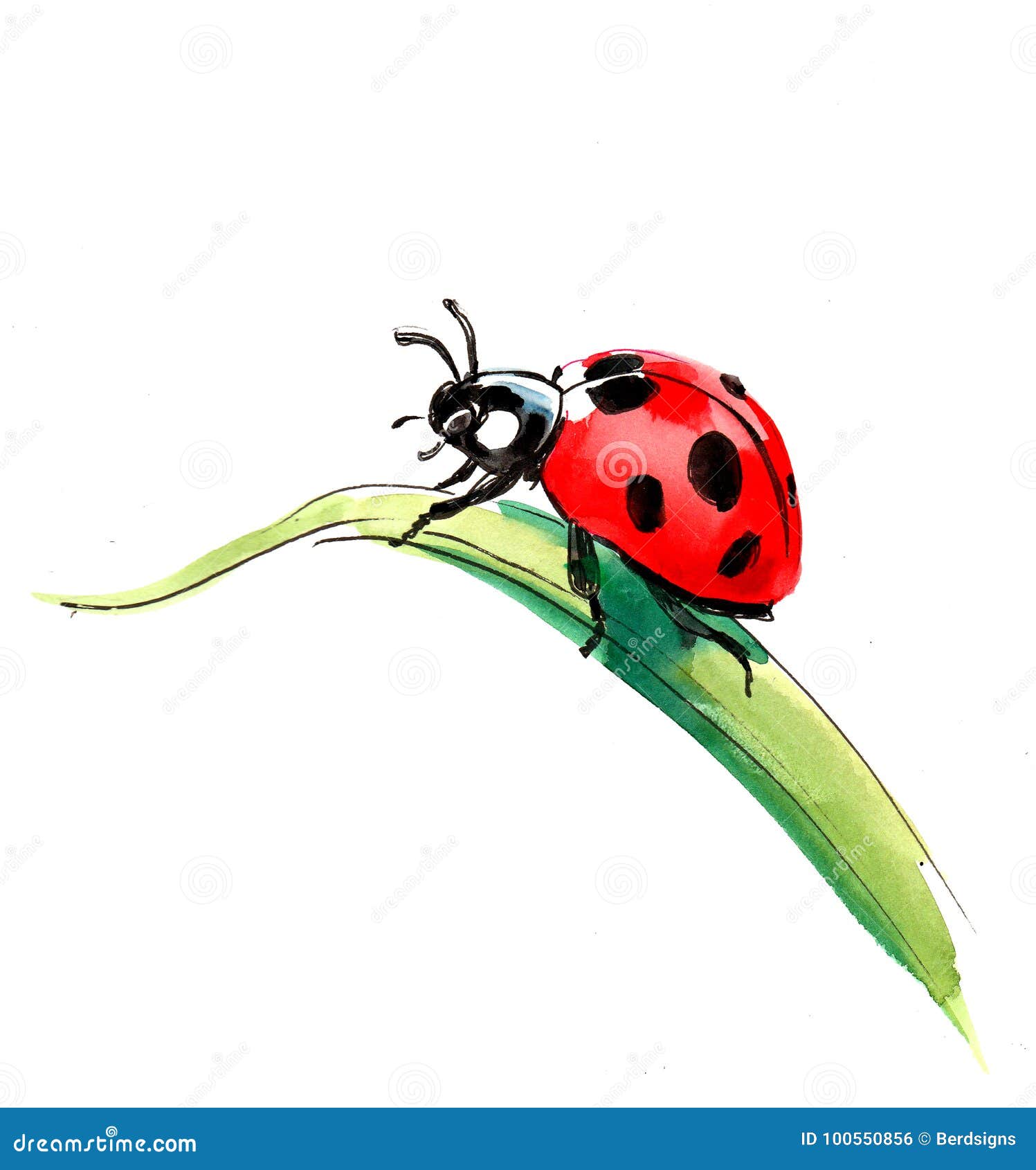 Watercolor Ladybug stock illustration. Illustration of painting - 100550856