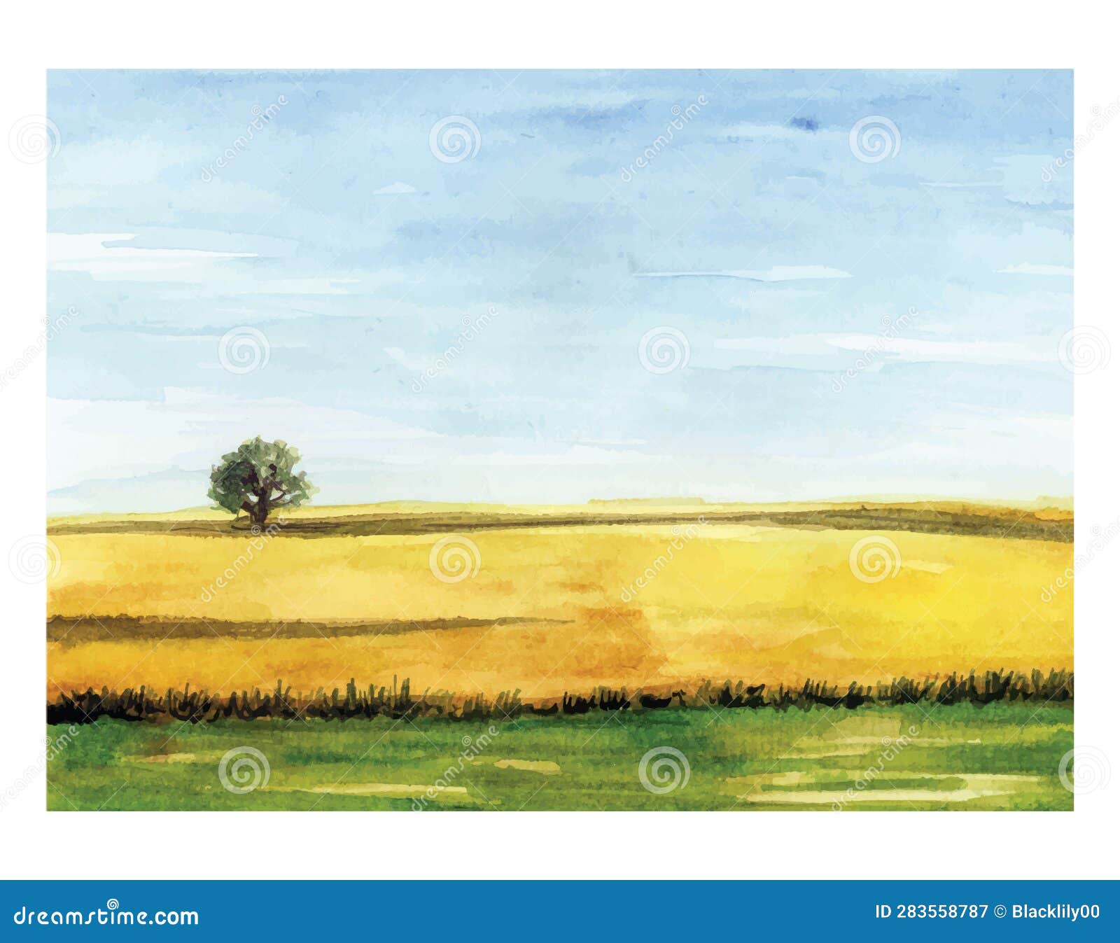 Watercolor Landscape Summer Yellow Field and Green Grass Stock Vector ...