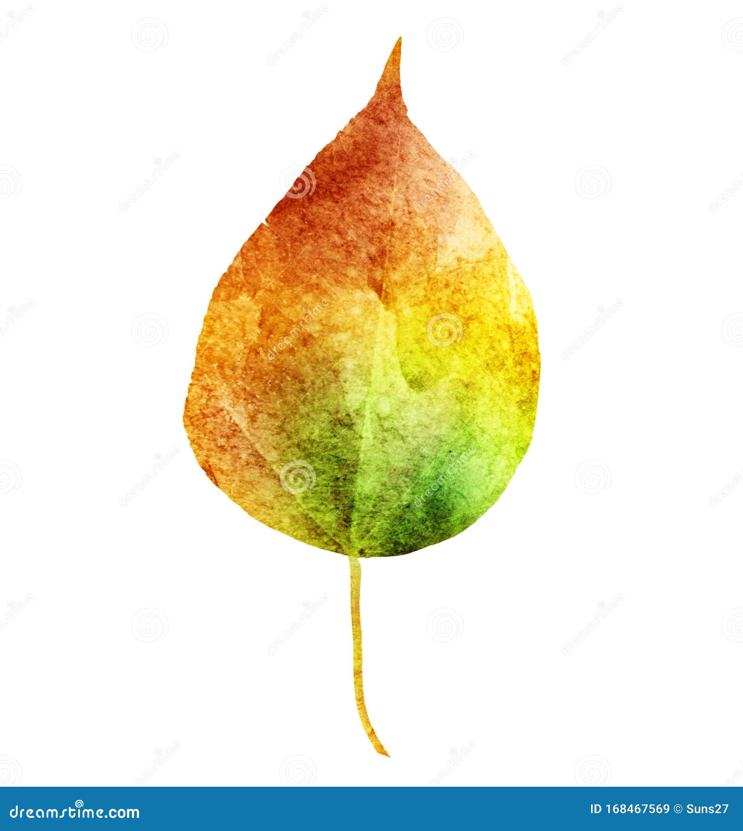 Watercolor Leaf on the White Stock Illustration - Illustration of ...