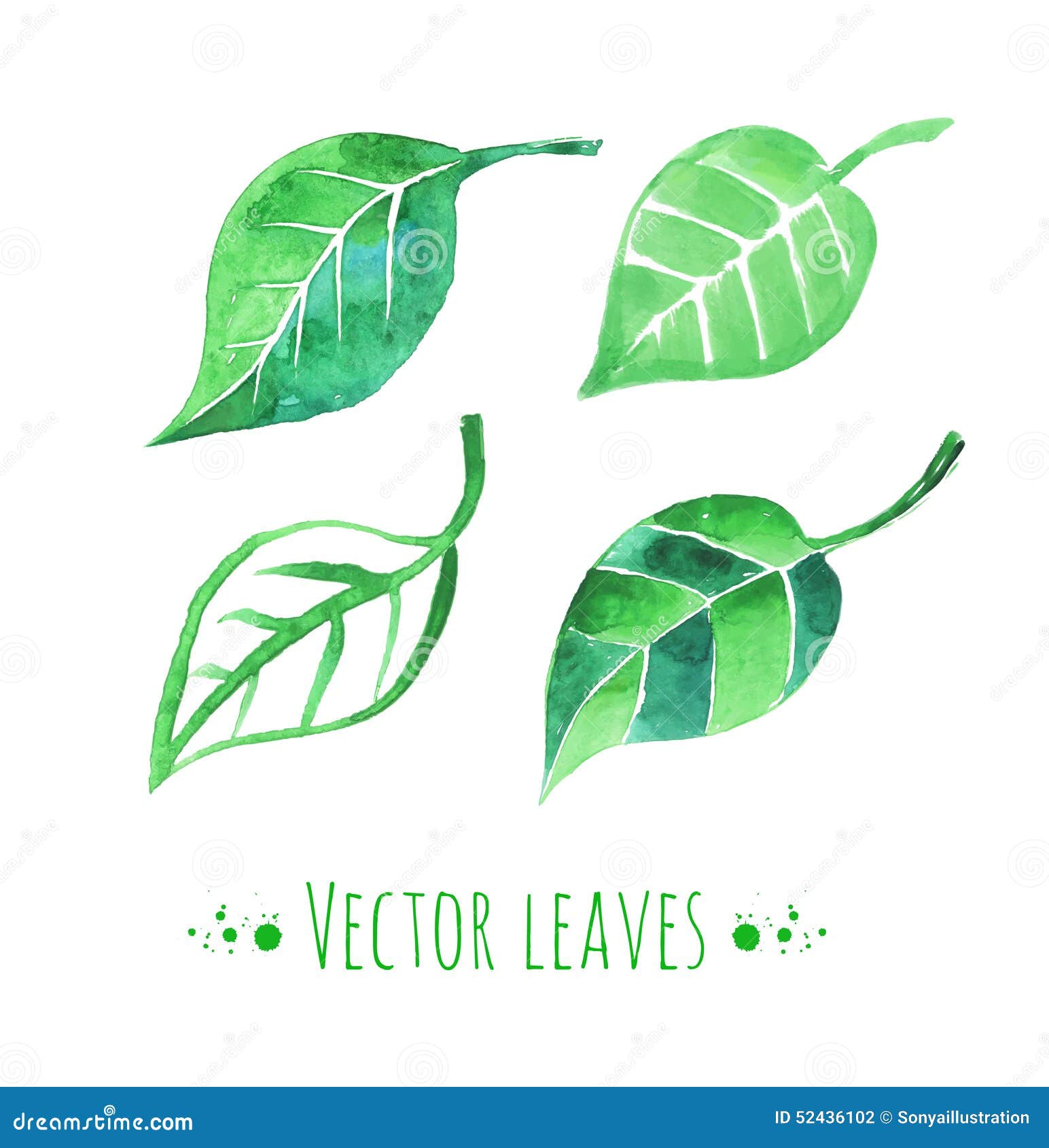 Watercolor leaves stock vector. Illustration of organic - 52436102