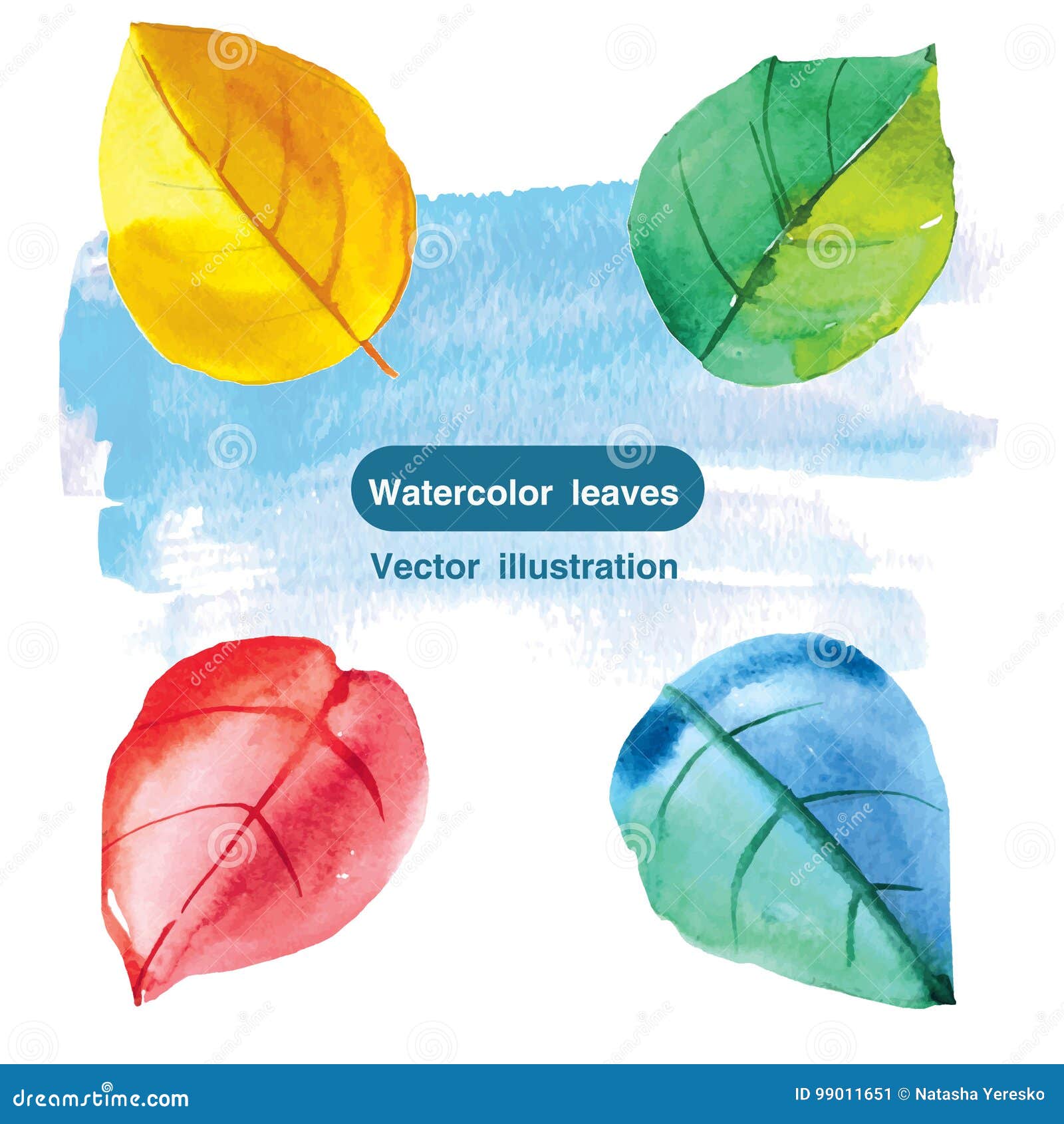 Watercolor Leaves. Vector Illustration Stock Vector - Illustration of ...