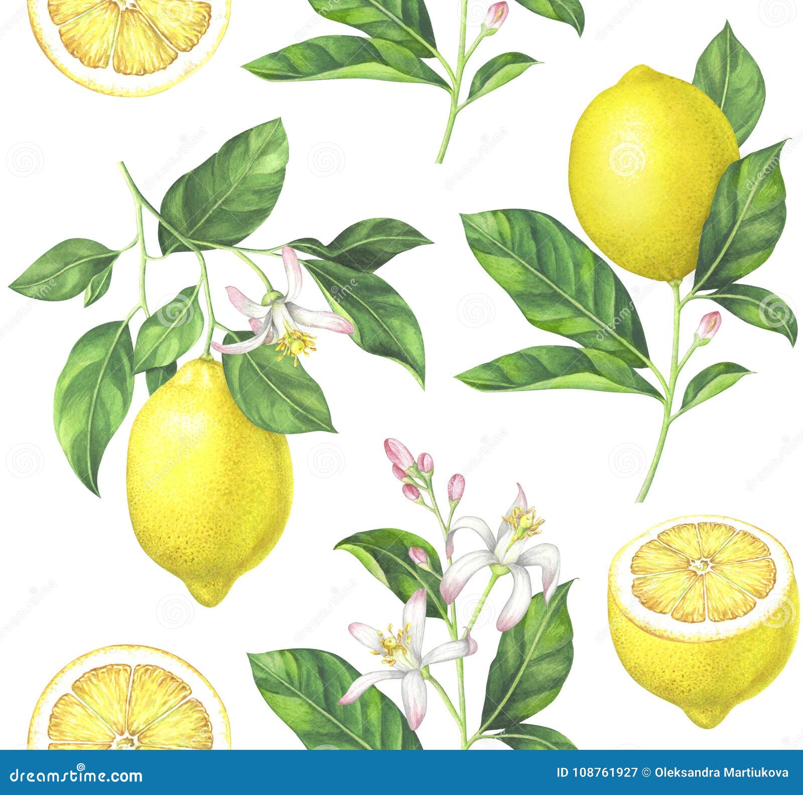 Watercolor Lemon Pattern on White Background Stock Illustration ... Watercolor Lemon Pattern on White Background Stock Illustration ...