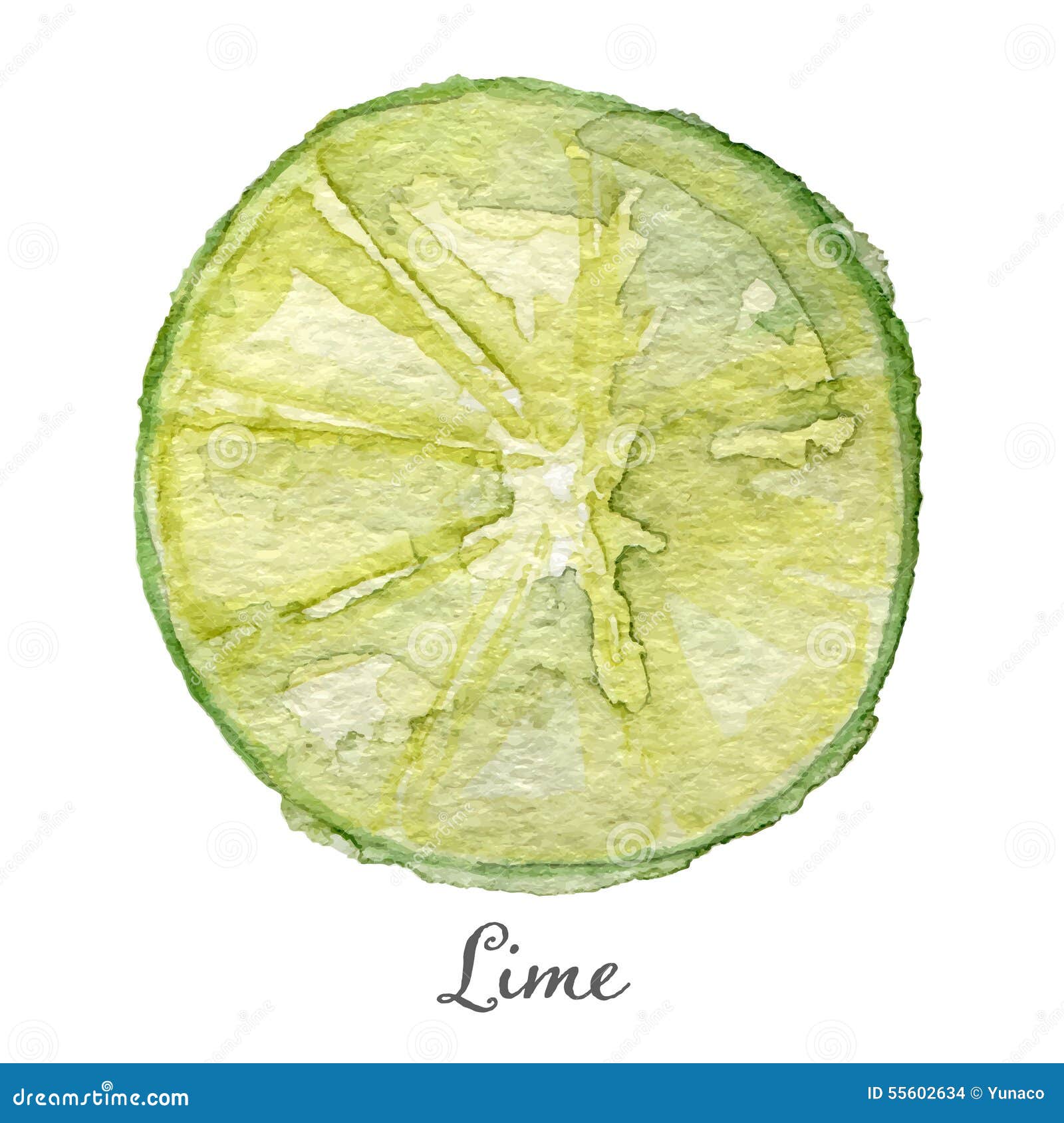 Watercolor Lime - Hand Painted Stock Illustration - Illustration of ...