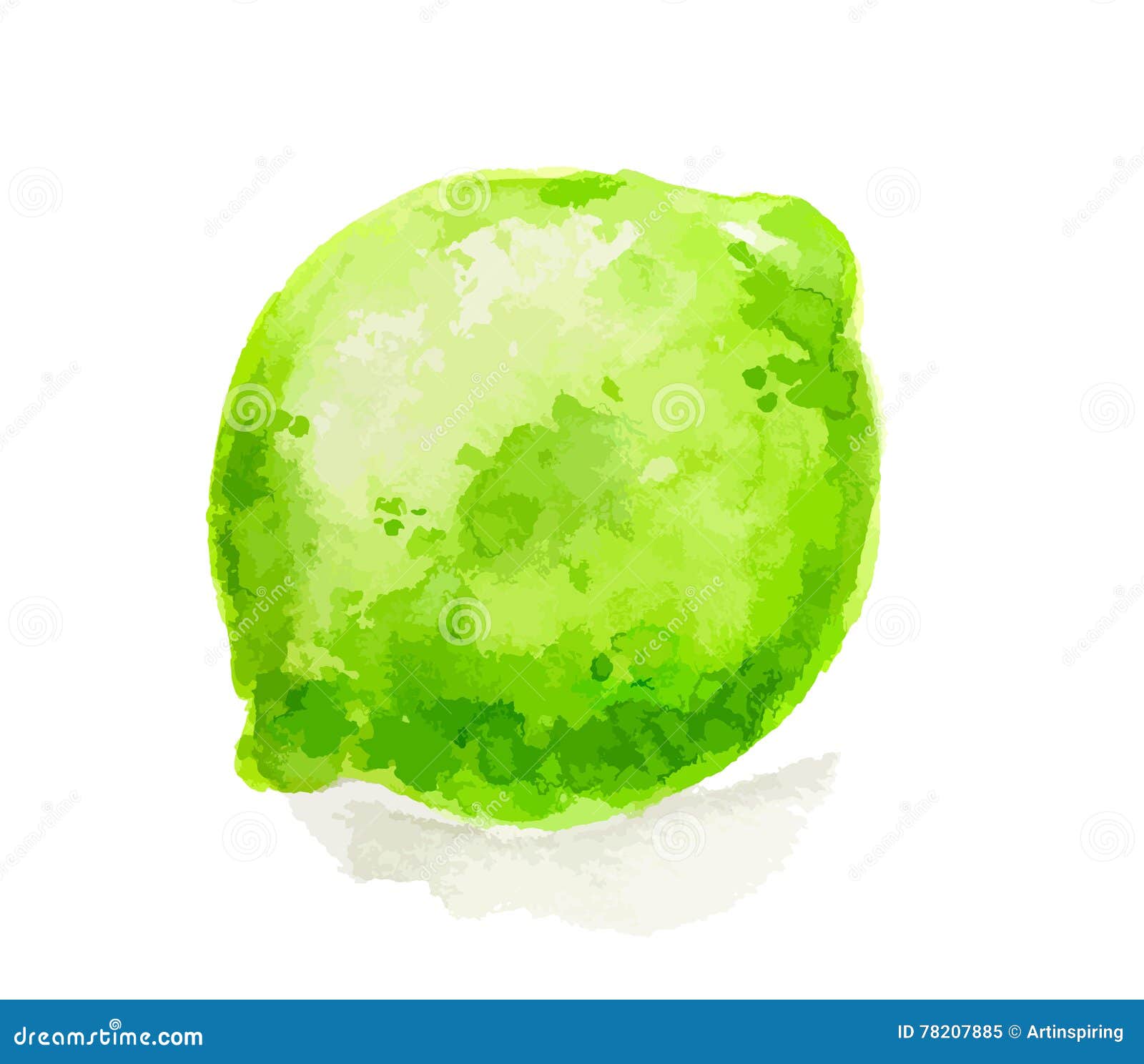 Watercolor Lime Set Juicy Fruit And Lime Slice Isolated On White ...