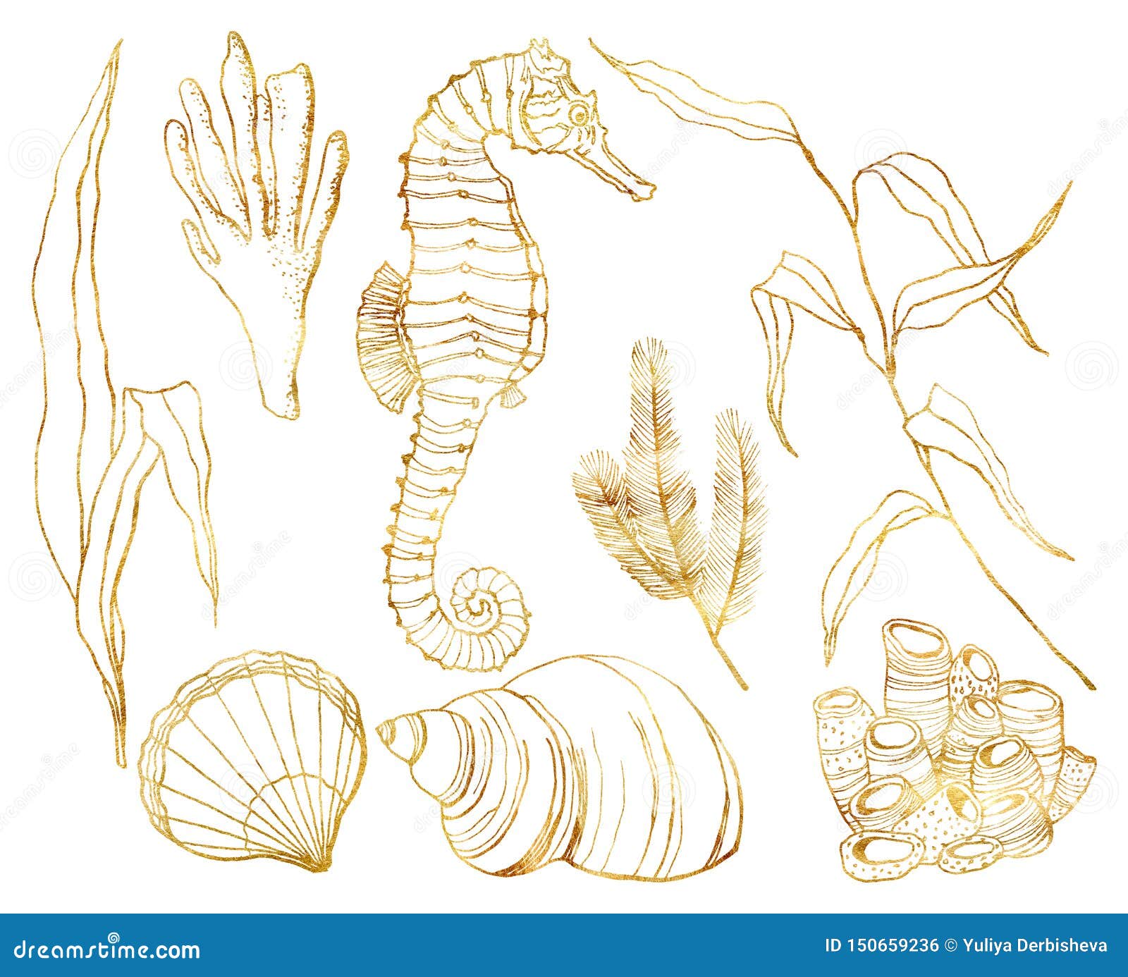 Watercolor Line Art Underwater Set. Hand Painted Seahorse, Laminaria ... Watercolor Line Art Underwater Set. Hand Painted Seahorse, Laminaria ...