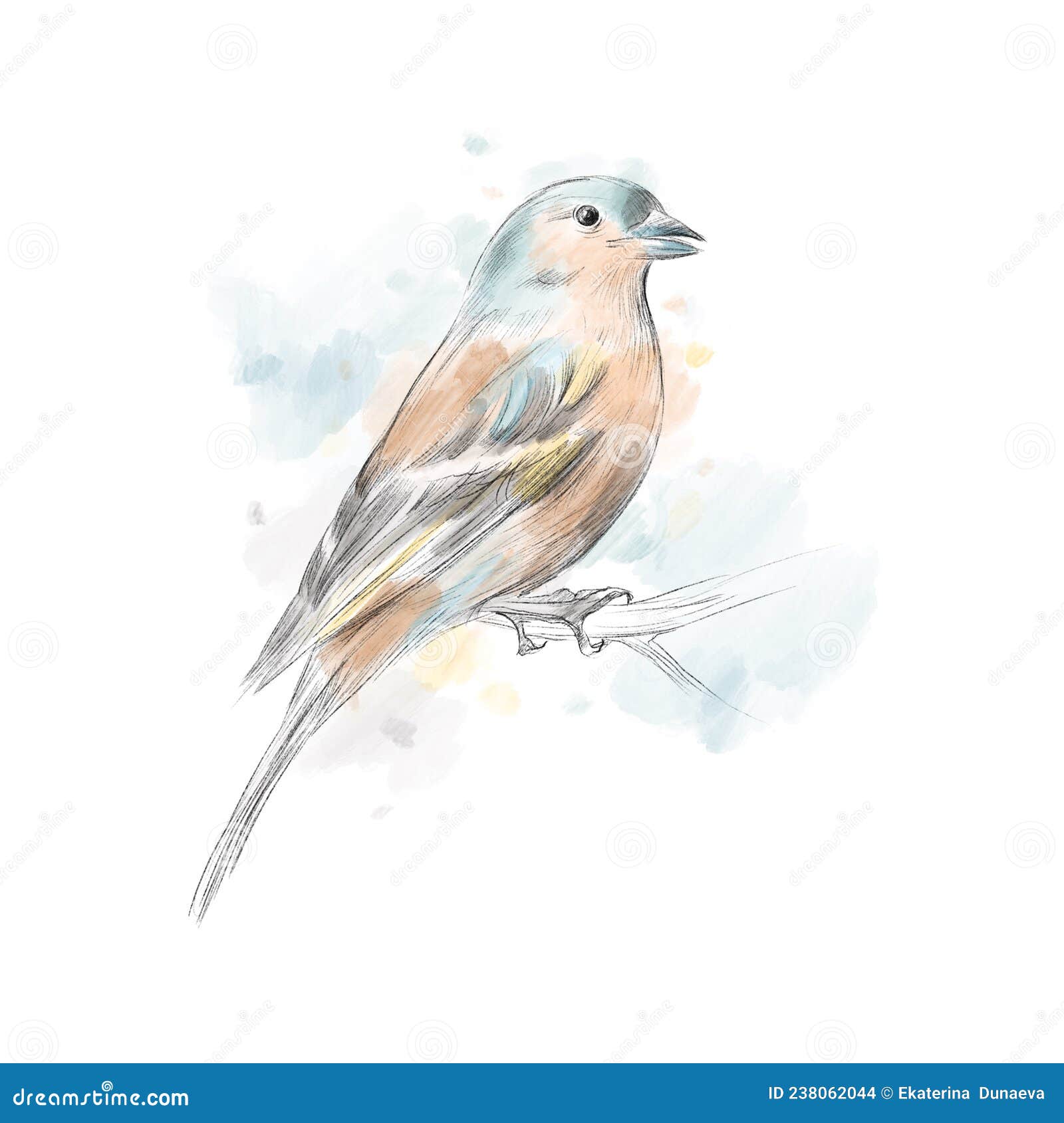 A Bird are Sitting on the Tree Stock Illustration - Illustration of ...