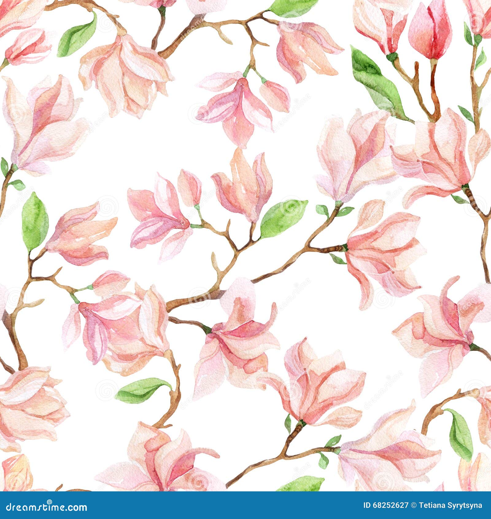 Watercolor Magnolia Branches Stock Illustration - Illustration of light ...