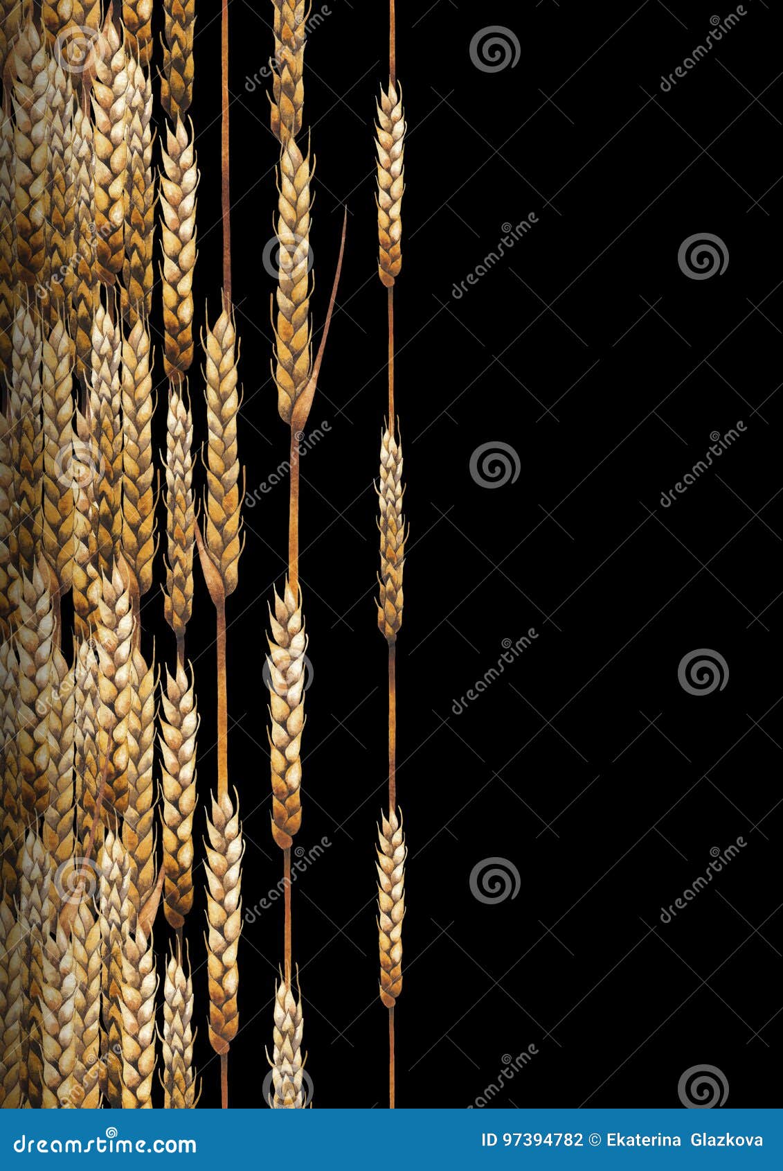 Watercolor malt design stock photo. Image of craft, barley - 97394782