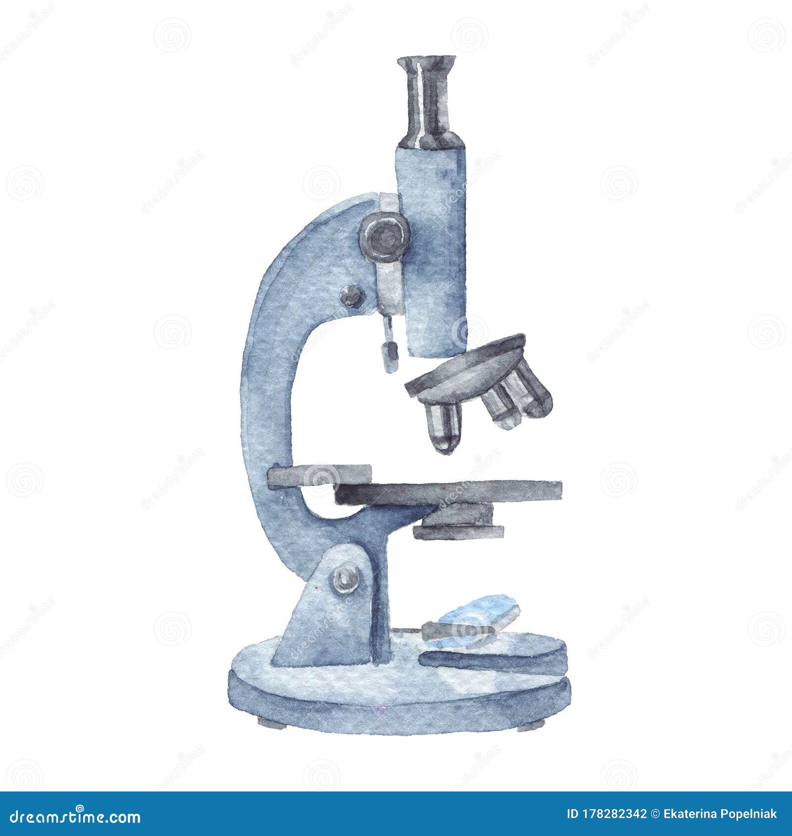 Watercolor Microscope of Grey Color Design. Hand Drawn Illustration ...