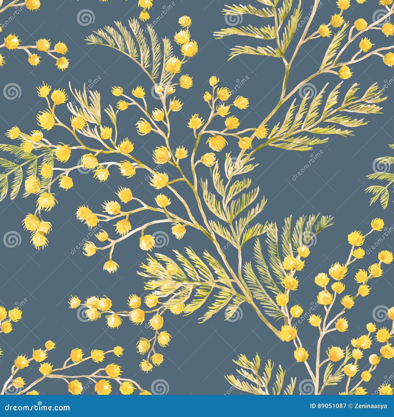 Watercolor Mimosa Vector Pattern Stock Vector - Illustration of natural ...