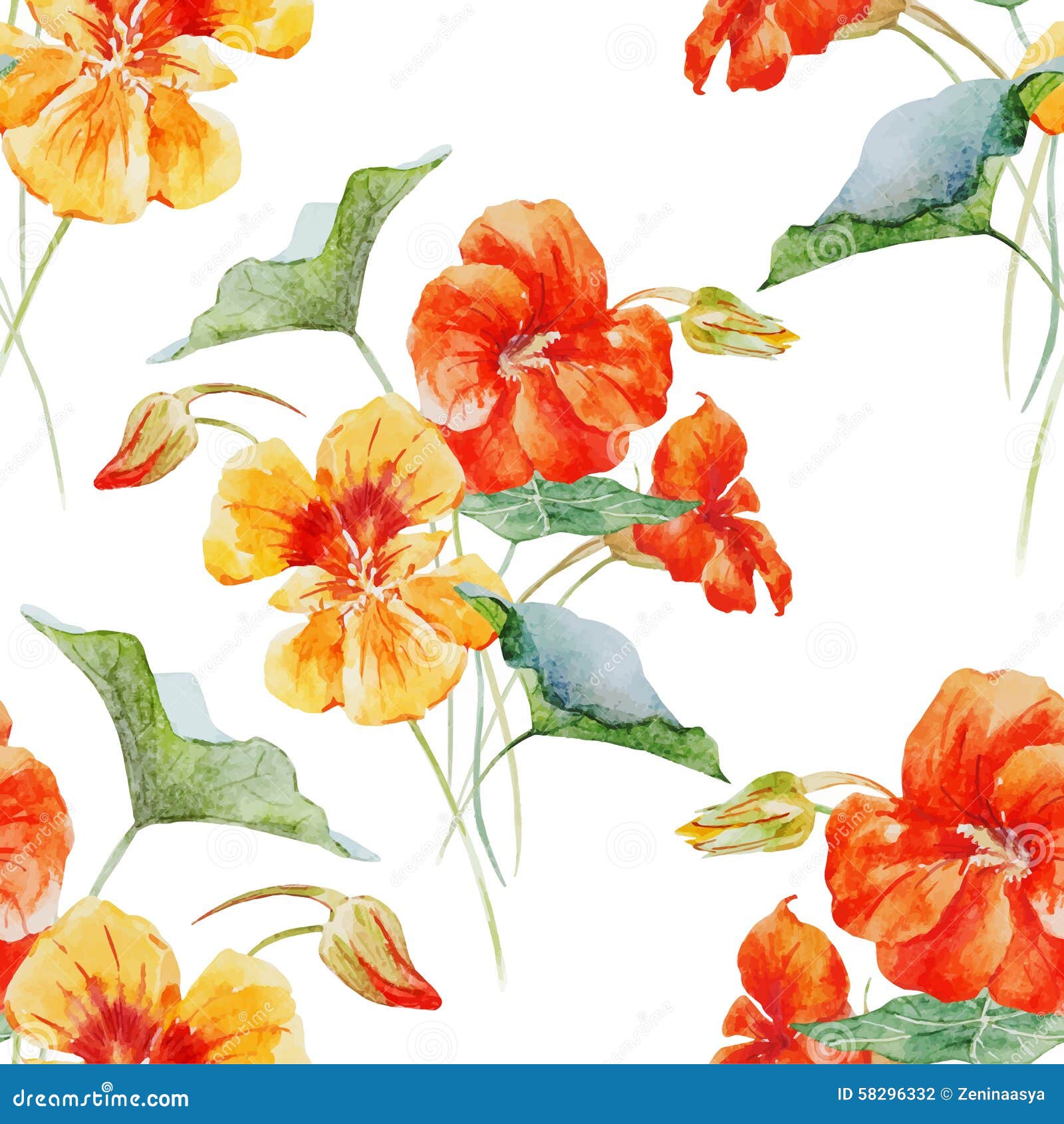 Watercolor Nasturtium Flower Pattern Stock Vector - Illustration of ...