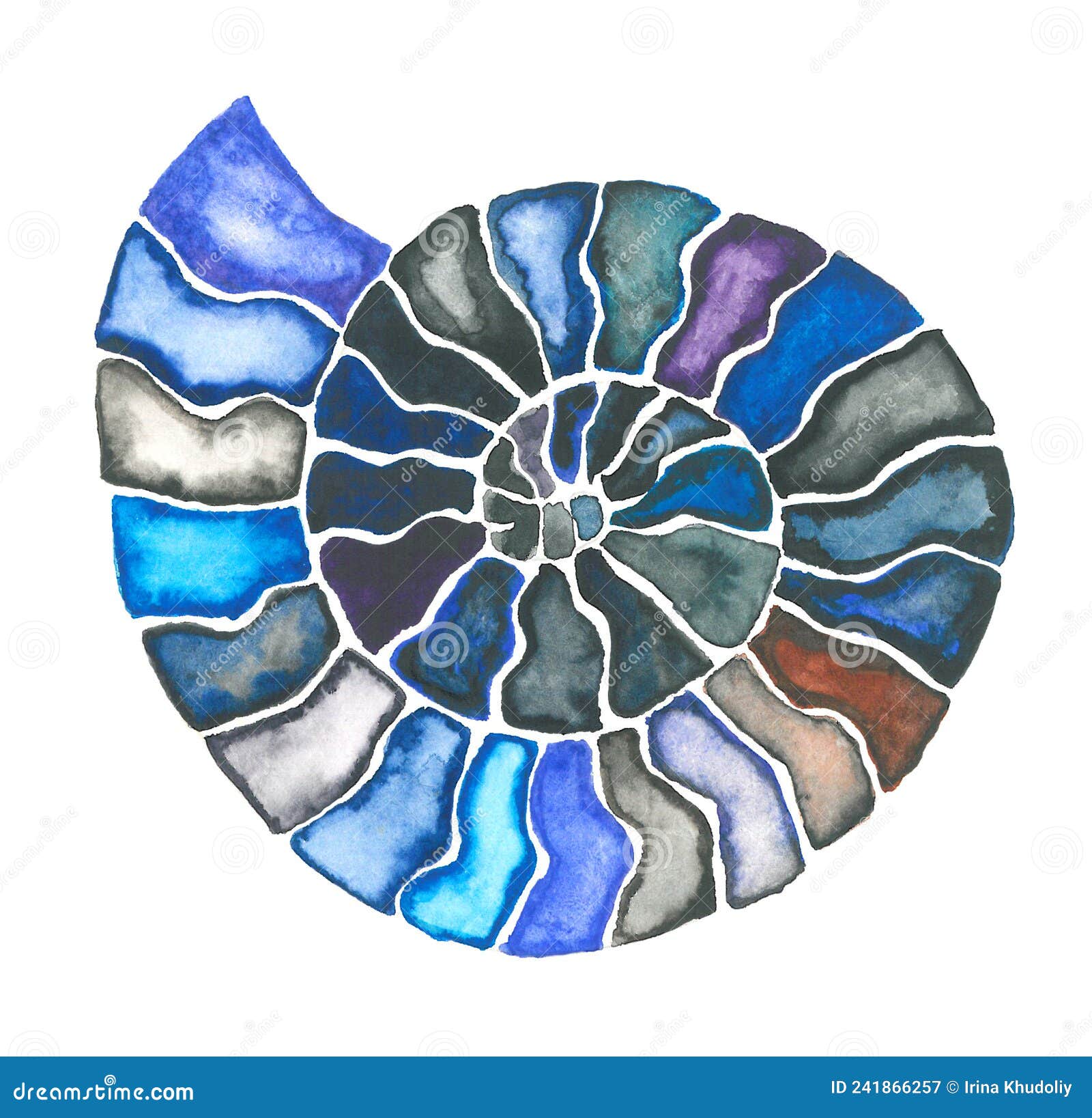 Watercolor nautilus shell stock illustration. Illustration of seafood ...