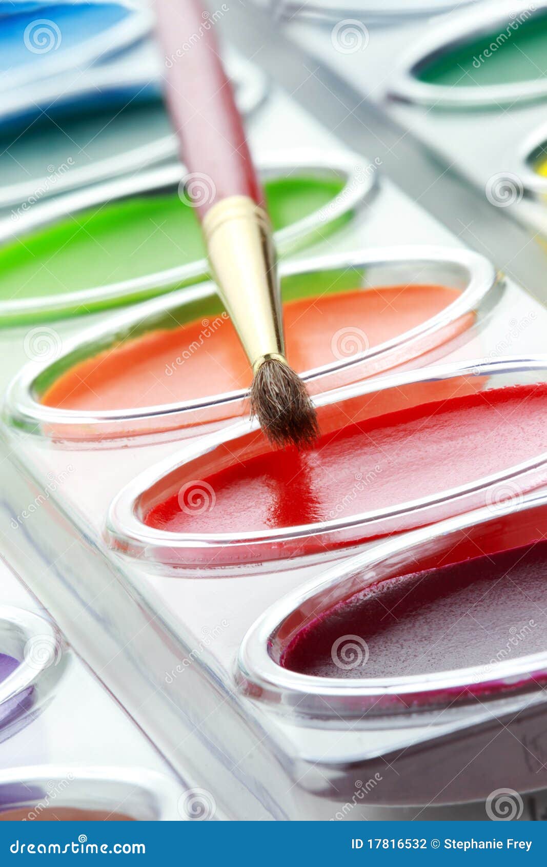Watercolor Paint stock photo. Image of painting, back - 17816532
