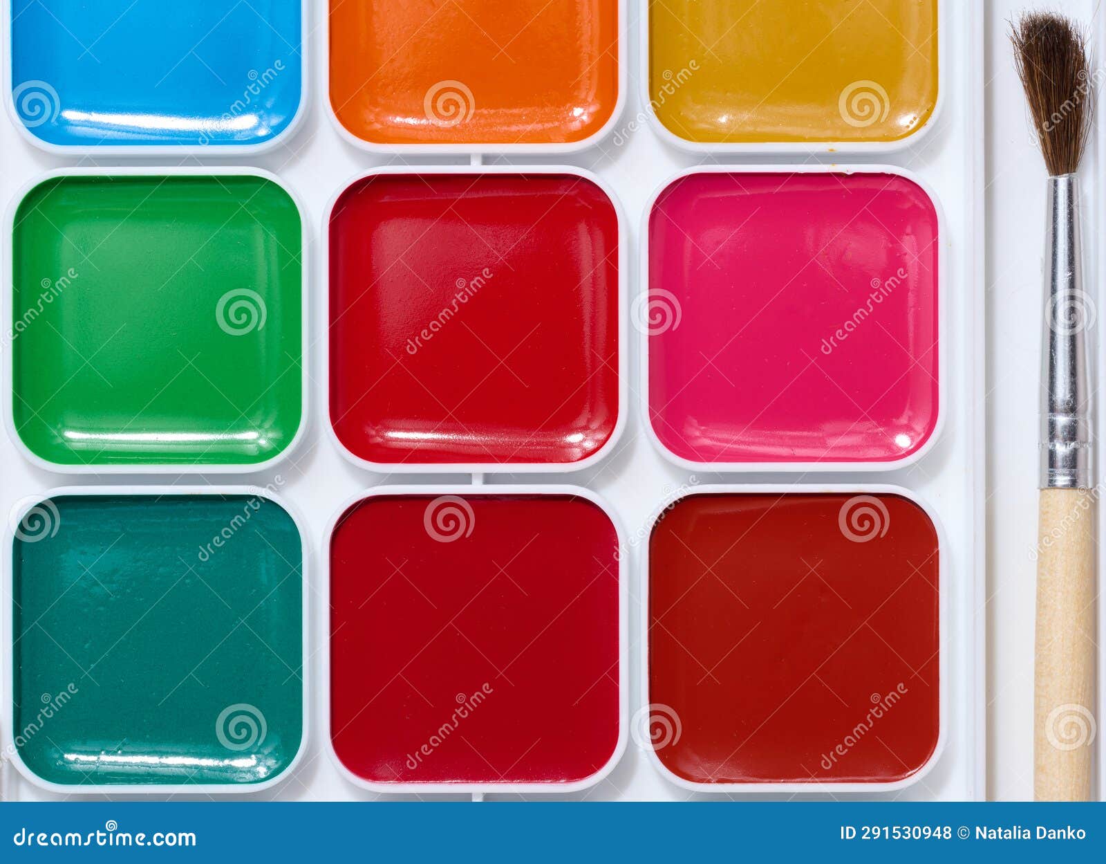 Watercolor Paint Palette, Object for Drawing and Creativity, Cells ...