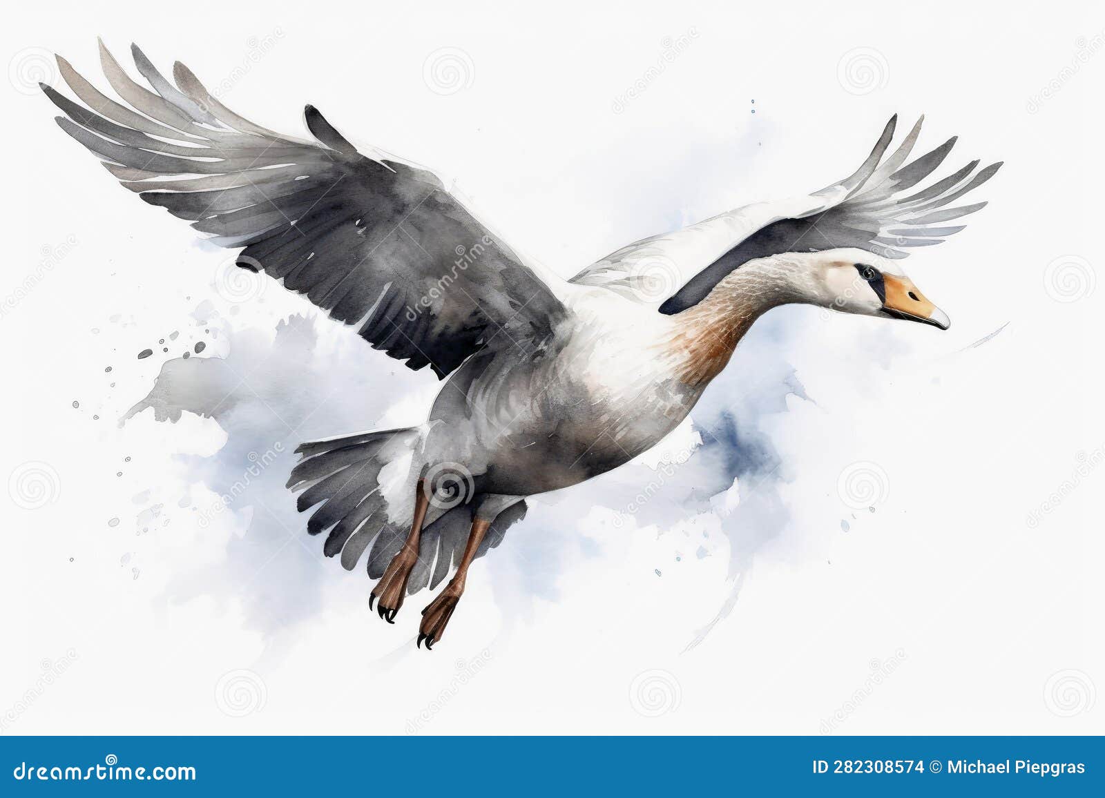 Watercolor Painted Grey Goose on a White Background Stock Photo - Image ...