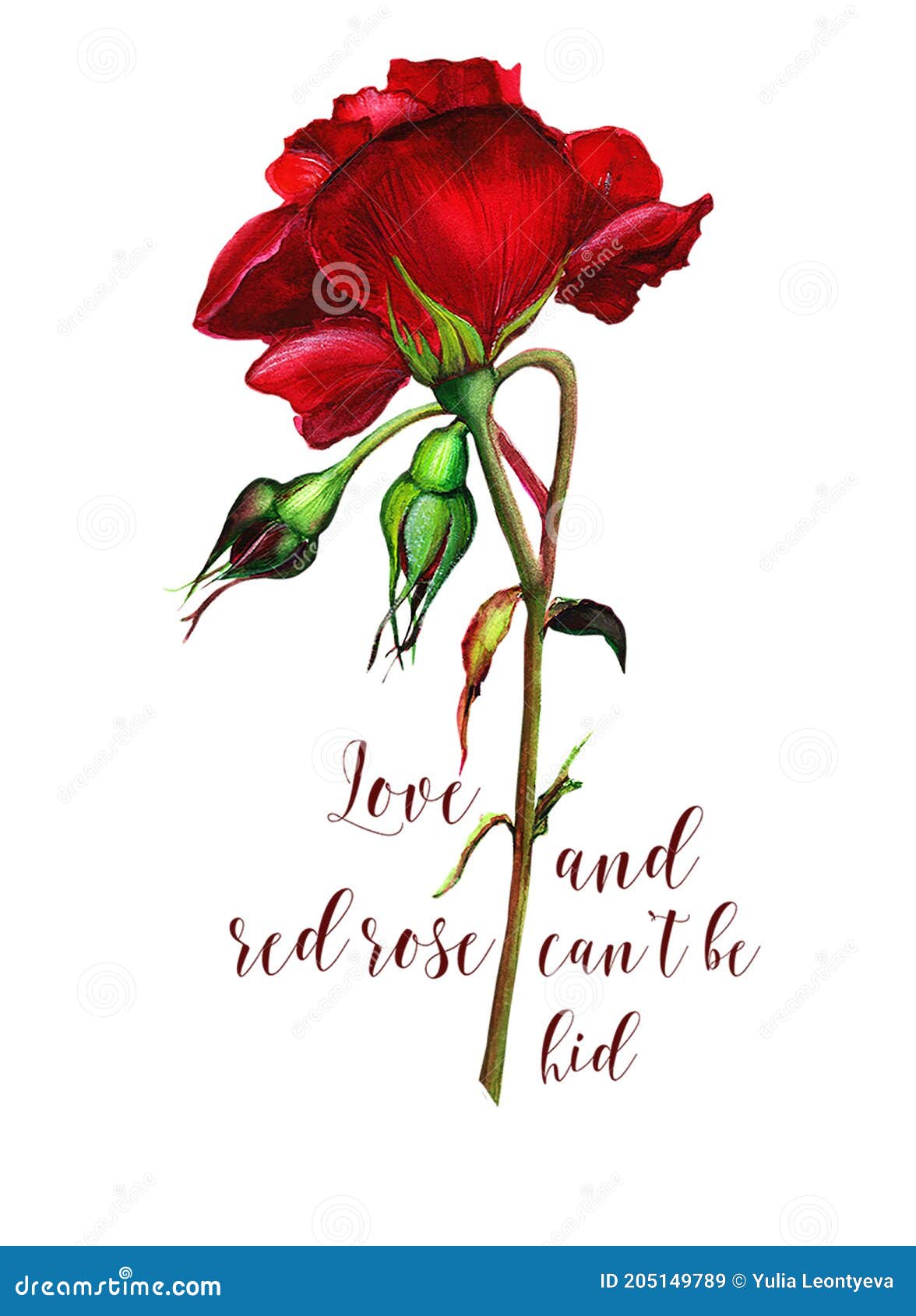 Watercolor Painted Red Rose with Text Stock Illustration - Illustration ...