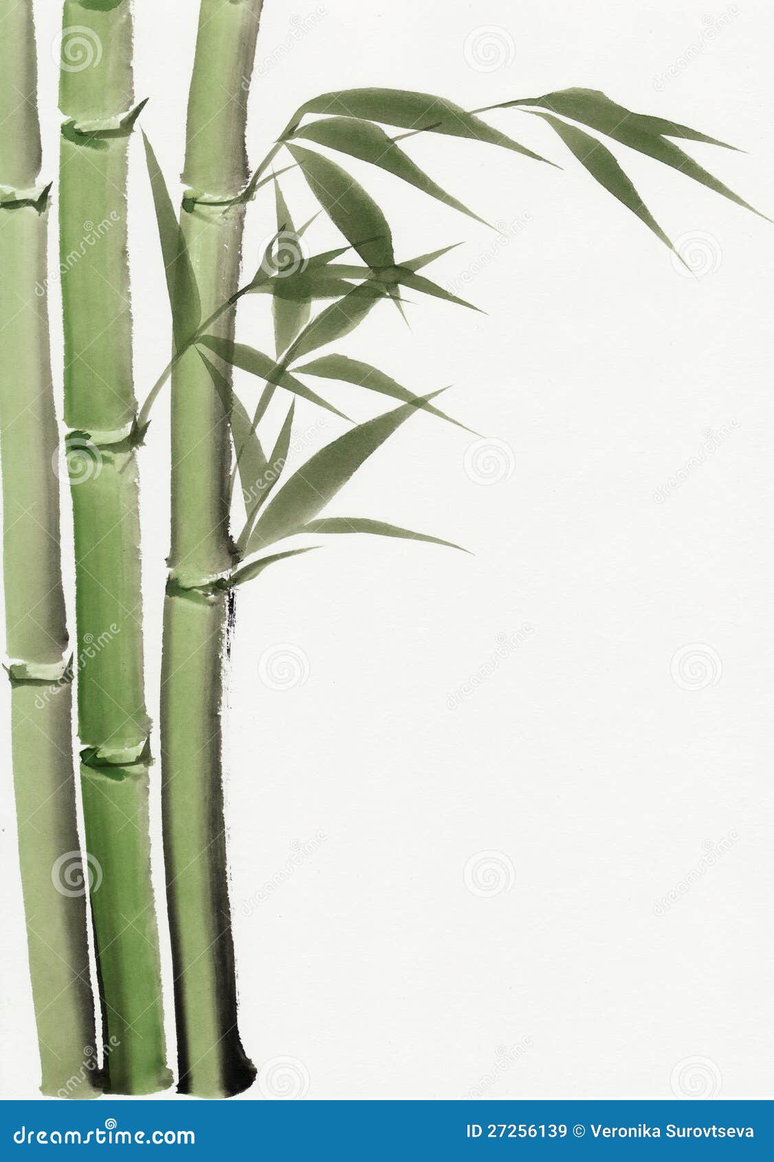 Watercolor Painting of Bamboo Stock Illustration - Illustration of ...