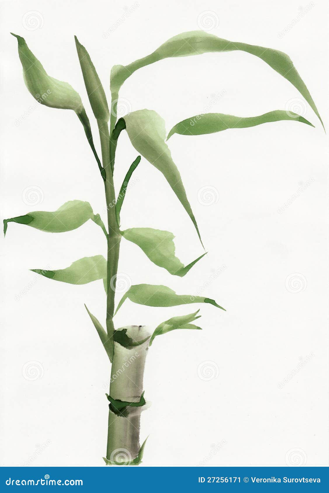 Watercolor Painting of Bamboo Stock Image - Image of forest, chinese ...