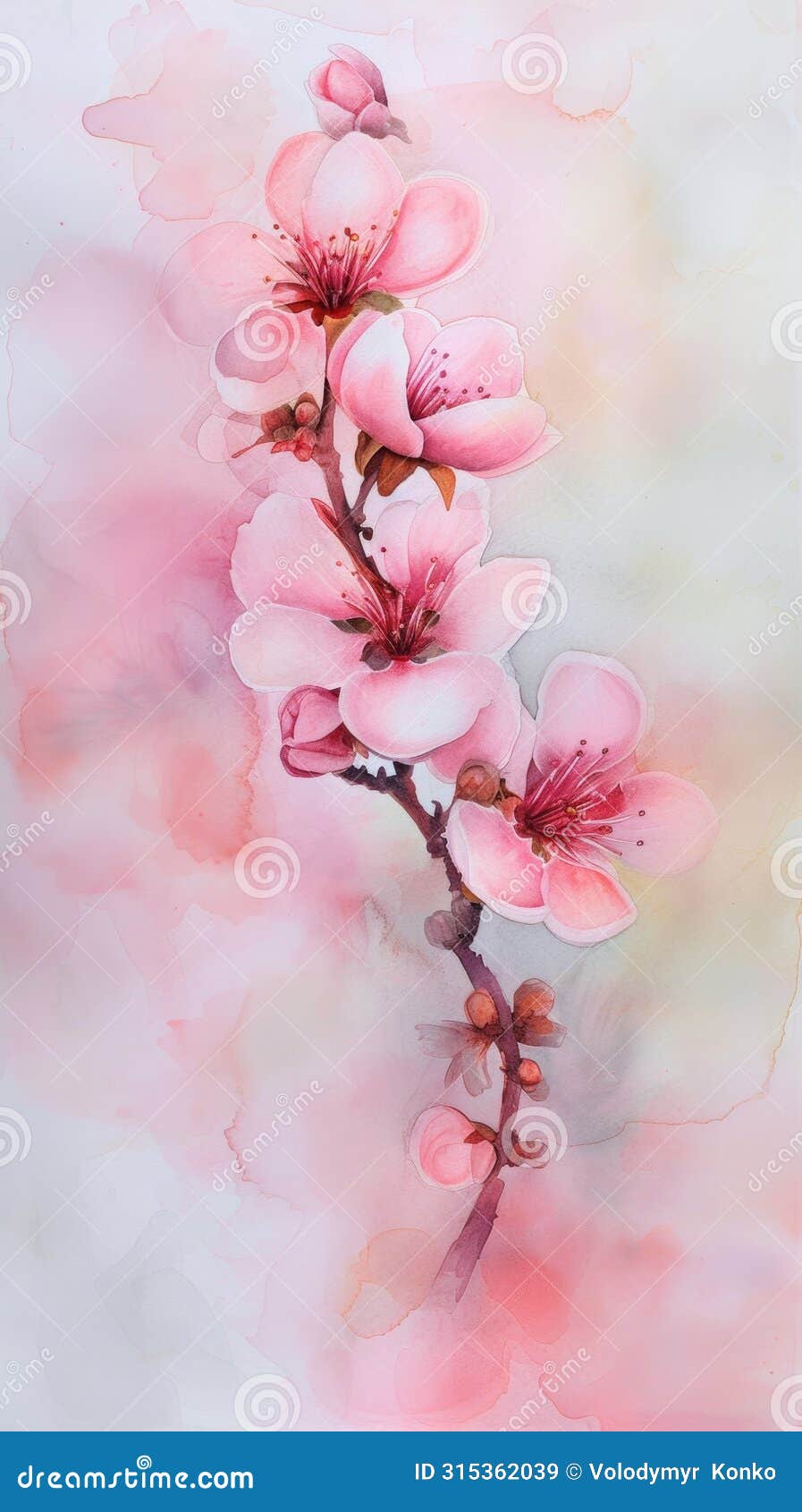 Watercolor Painting of Cherry Blossoms Stock Image - Image of texture ...