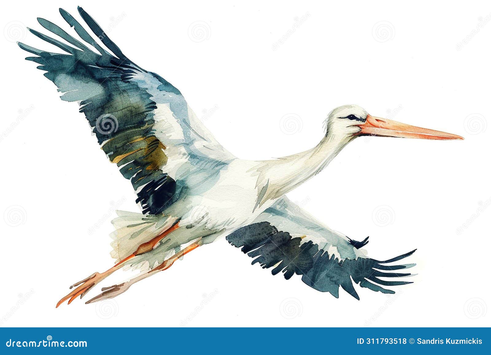 Watercolor Painting of Flying White Stork. Generative AI. Stock ...