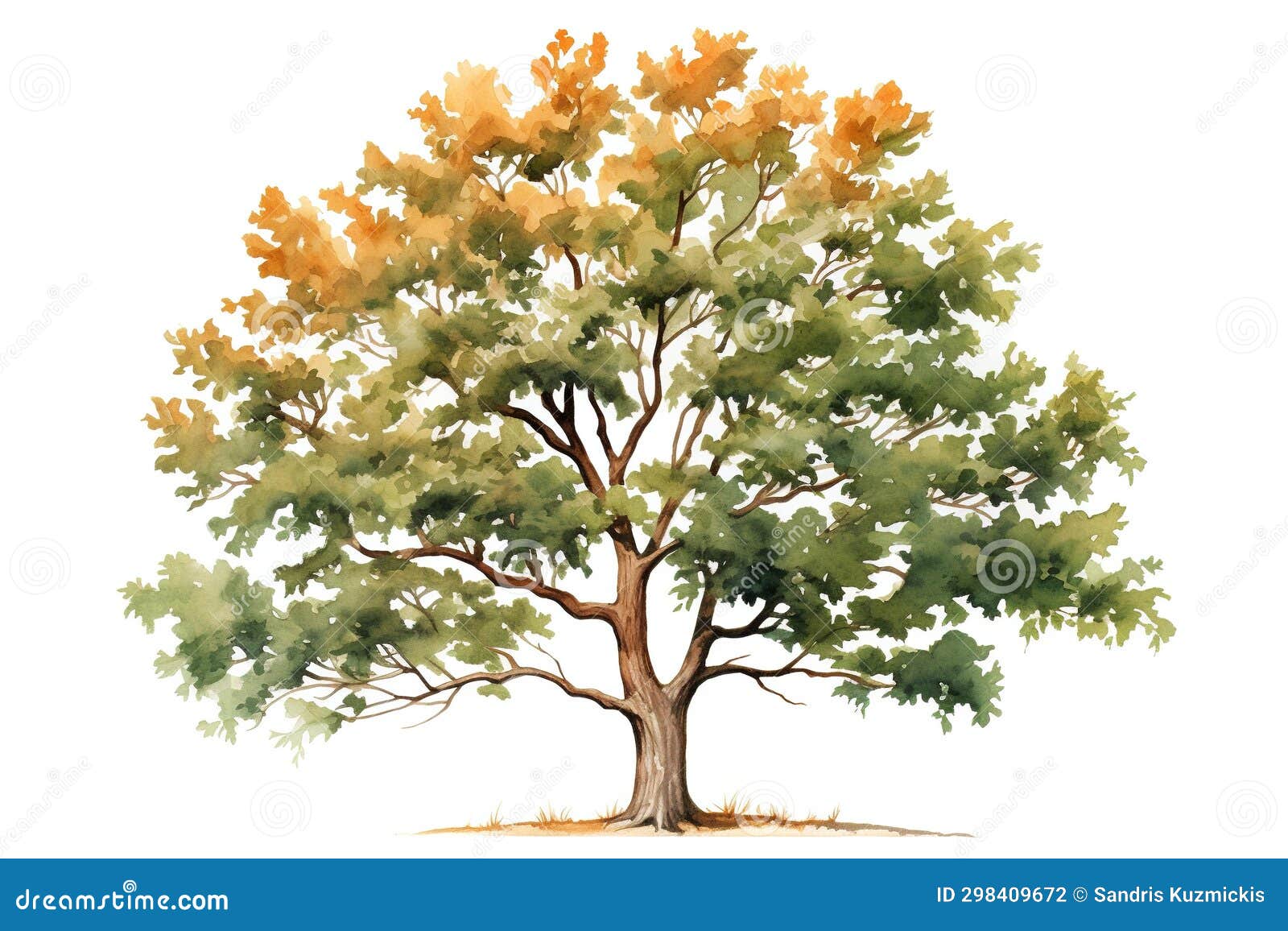 Watercolor Painting of Oak Tree. Generative AI Stock Illustration ...