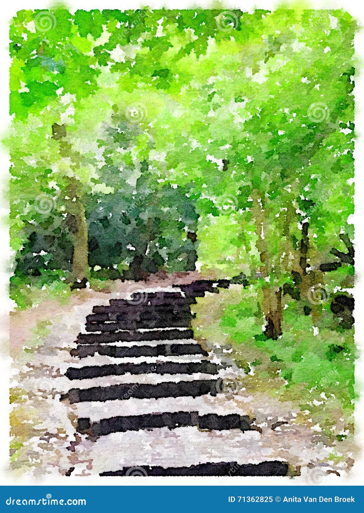 Watercolor Painting of a Path in the Woods Stock Illustration ...