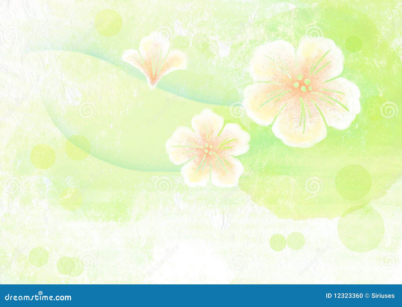 Sakura Flower Card Template. Cartoon Vector | CartoonDealer.com #51184657