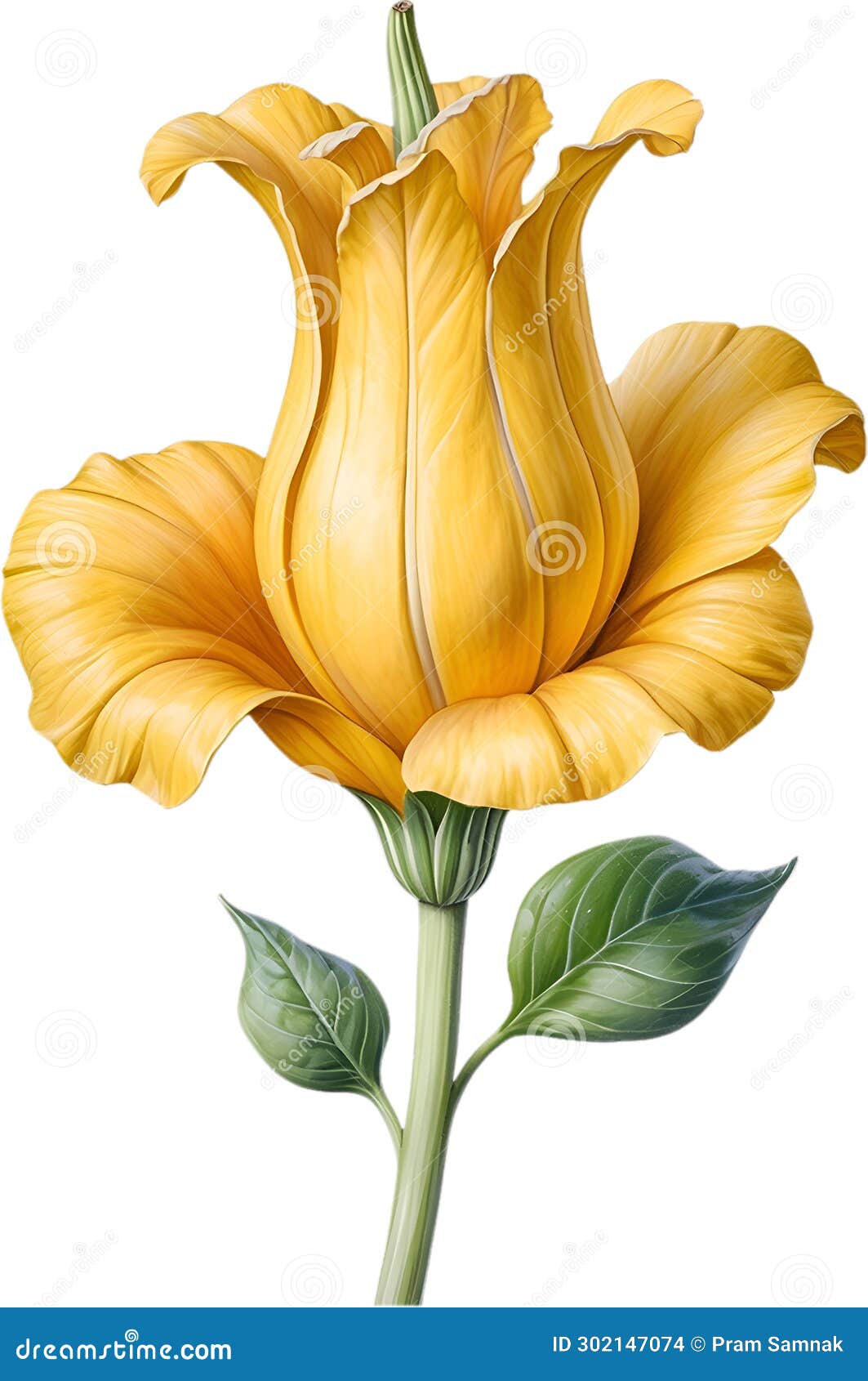 Watercolor Painting of Squash Flower. Ai-Generated Stock Illustration ...